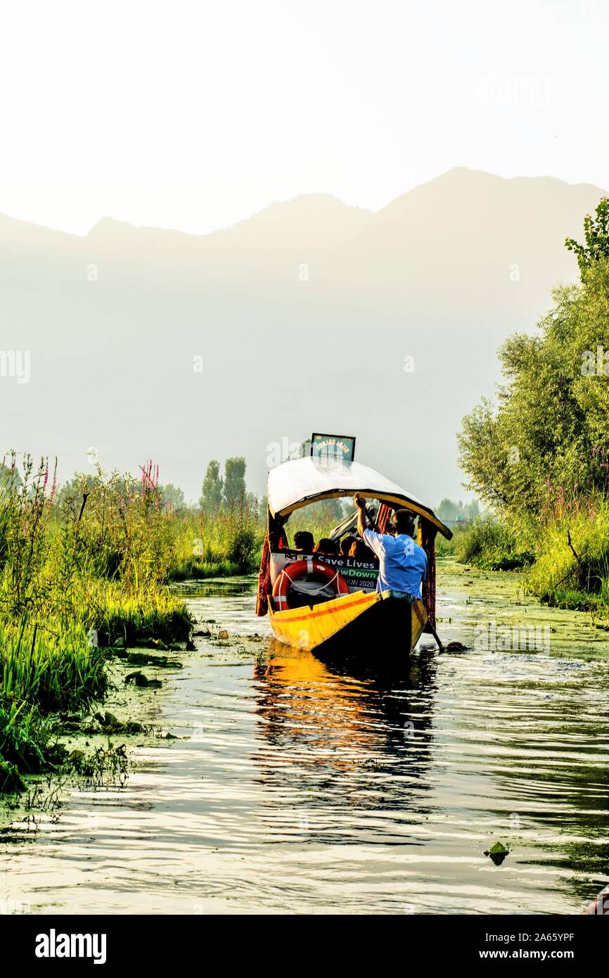 Shikara ride, Dal Lake, Srinagar, Kashmir, India, Asia Stock Photo - Alamy Shikara ride, Dal Lake, Srinagar, Kashmir, India, Asia Stock Photo - Alamy