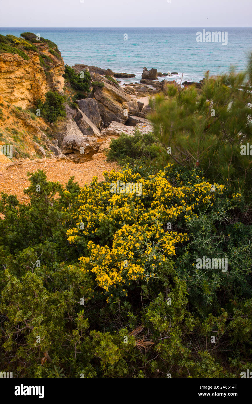 Landscape in Cabo Roche, Cadiz Stock Photo - Alamy