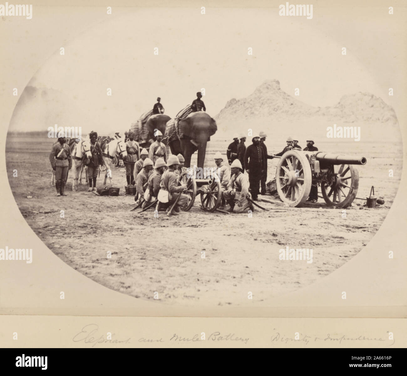 Impudence hi-res stock photography and images - Alamy