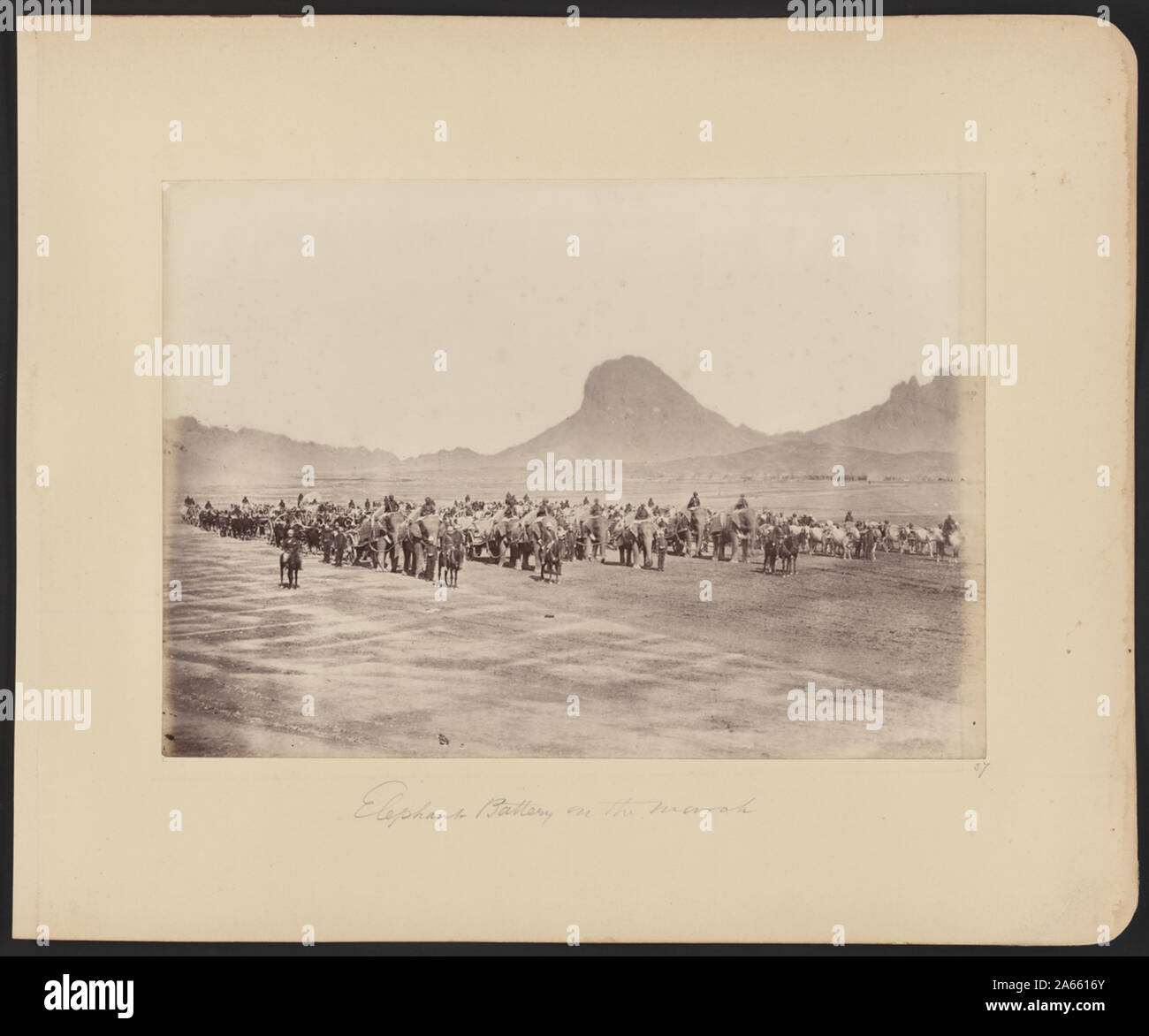 Elephant Battery on the March Stock Photo - Alamy