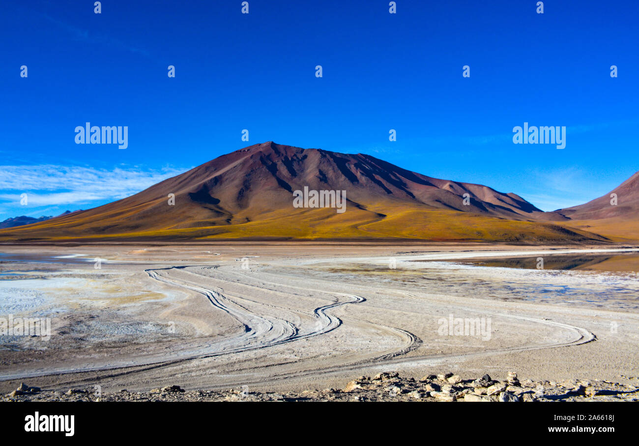 the fabulous laguna colorada in Bolivia Stock Photo - Alamy