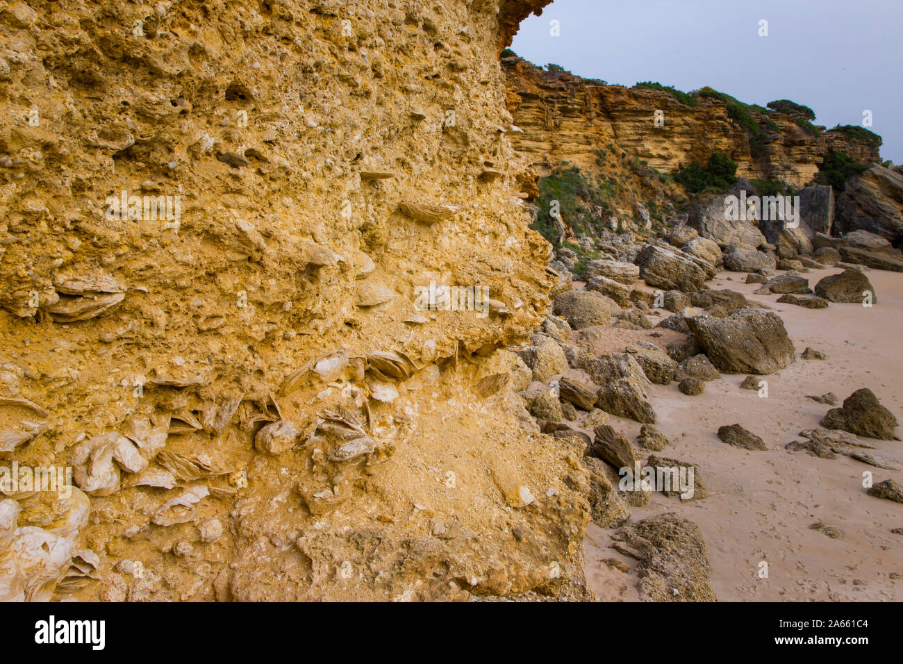 Landscape in Cabo Roche, Cadiz Stock Photo - Alamy