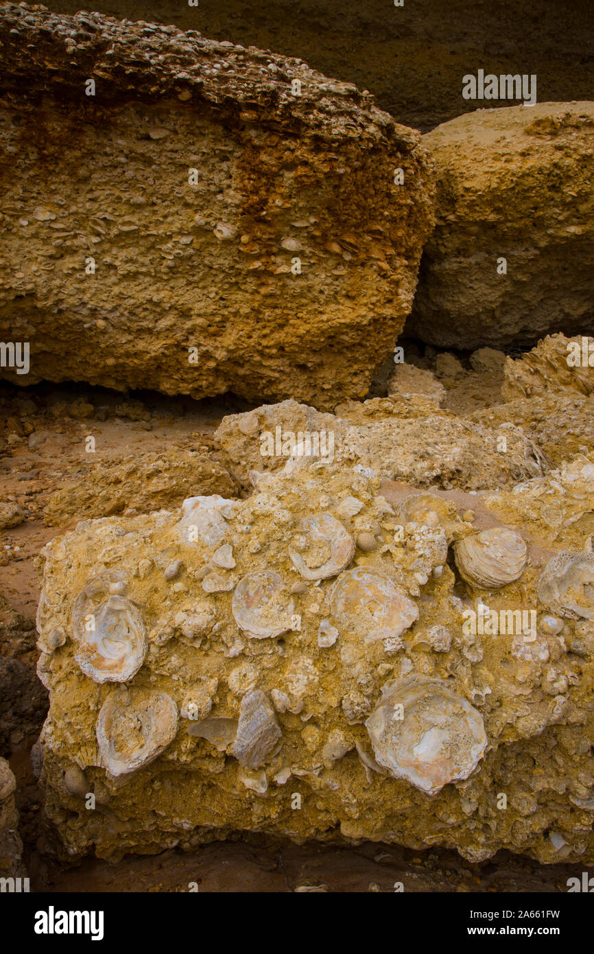 Landscape in Cabo Roche, Cadiz Stock Photo - Alamy