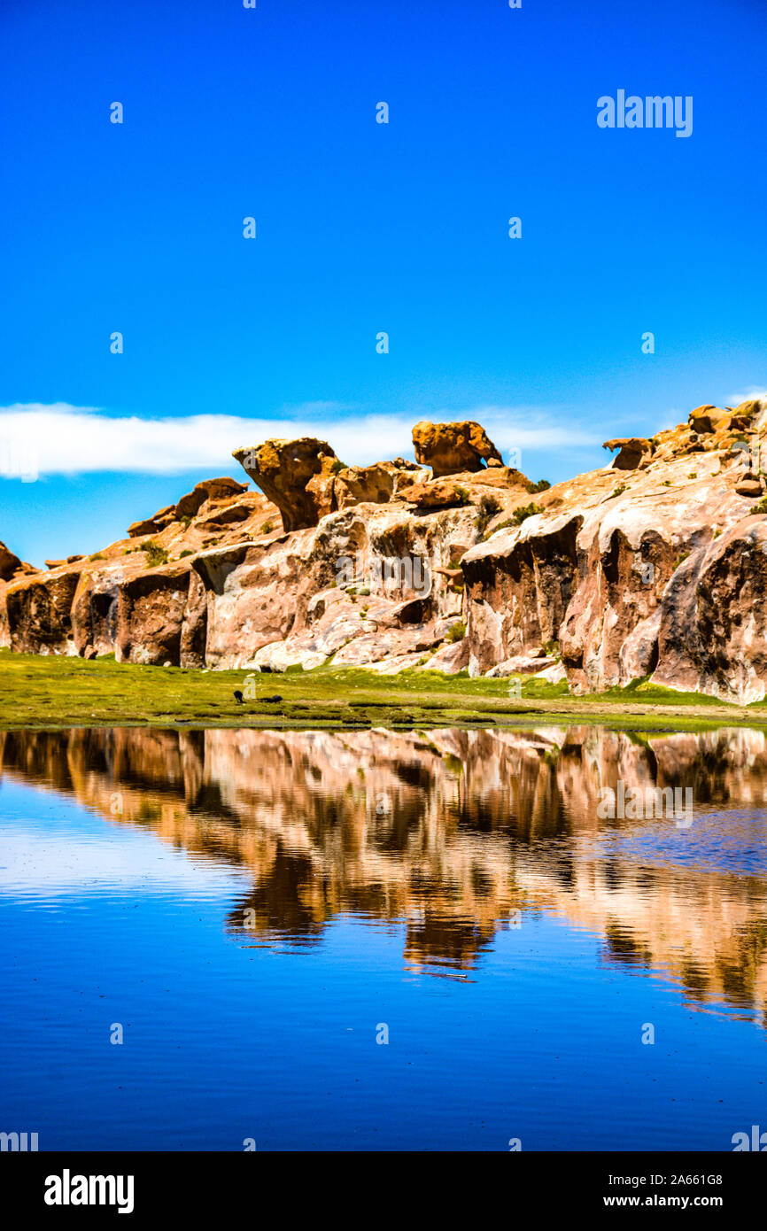 the fabulous laguna colorada in Bolivia Stock Photo - Alamy