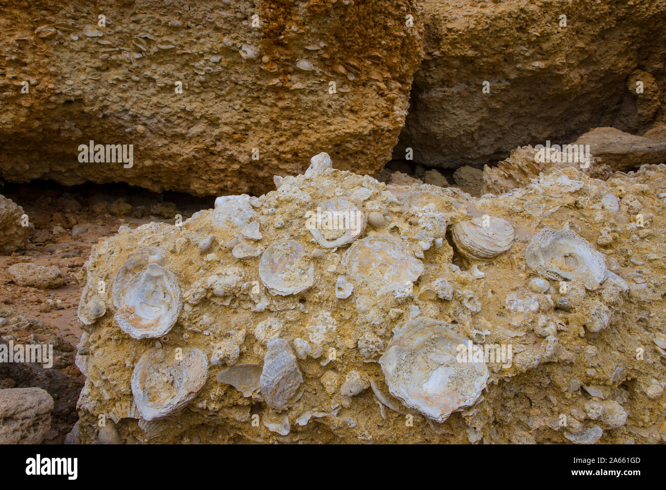 Landscape in Cabo Roche, Cadiz Stock Photo - Alamy