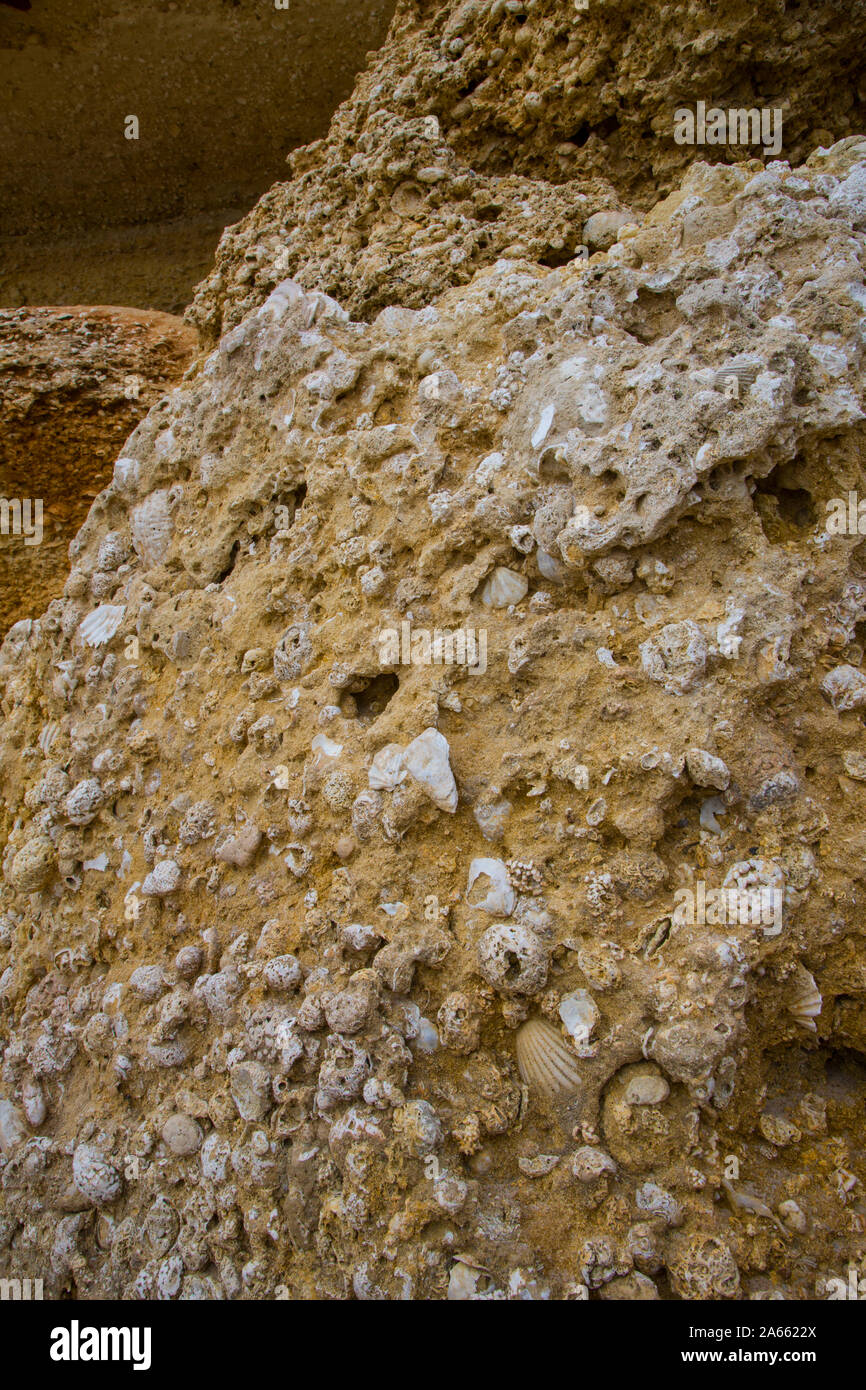 Landscape in Cabo Roche, Cadiz Stock Photo - Alamy