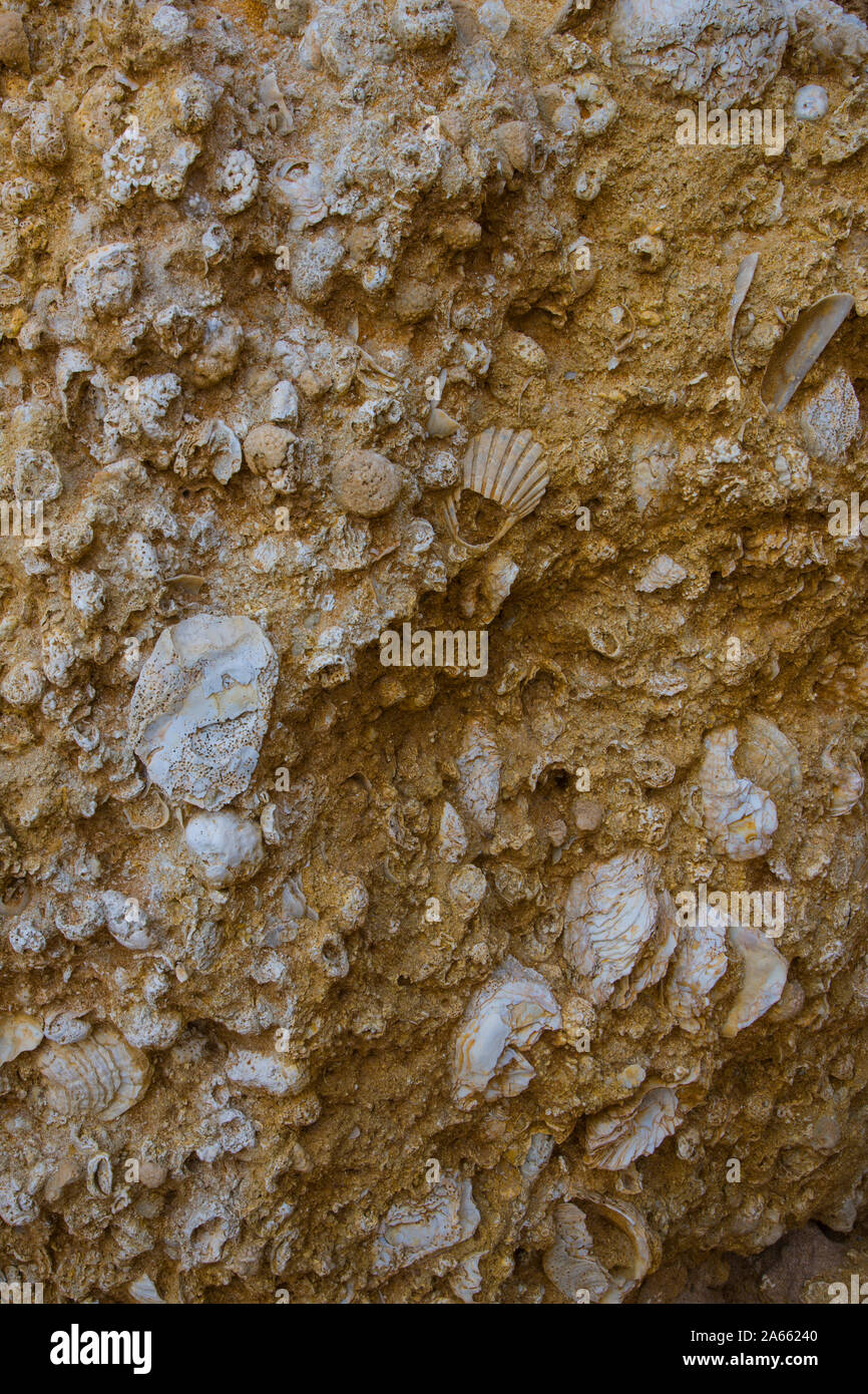 Landscape in Cabo Roche, Cadiz Stock Photo - Alamy