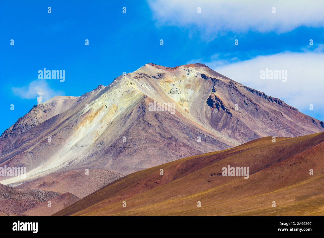 the fabulous laguna colorada in Bolivia Stock Photo - Alamy