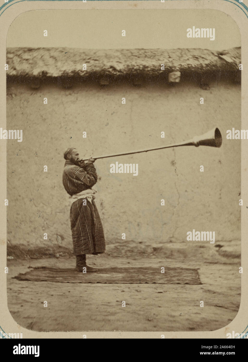 Long necked instrument hi-res stock photography and images - Alamy