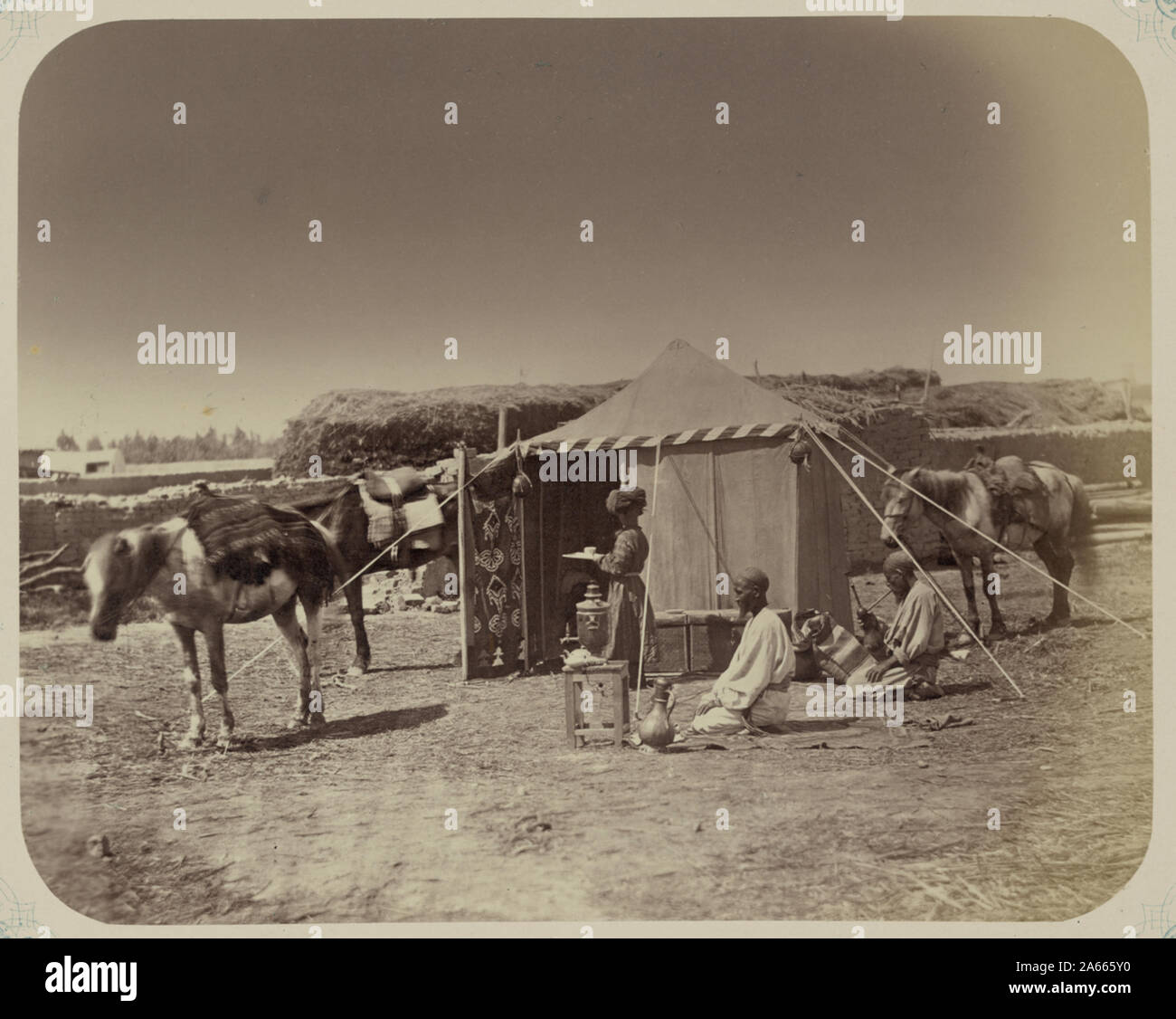 Bukharan hi-res stock photography and images - Alamy