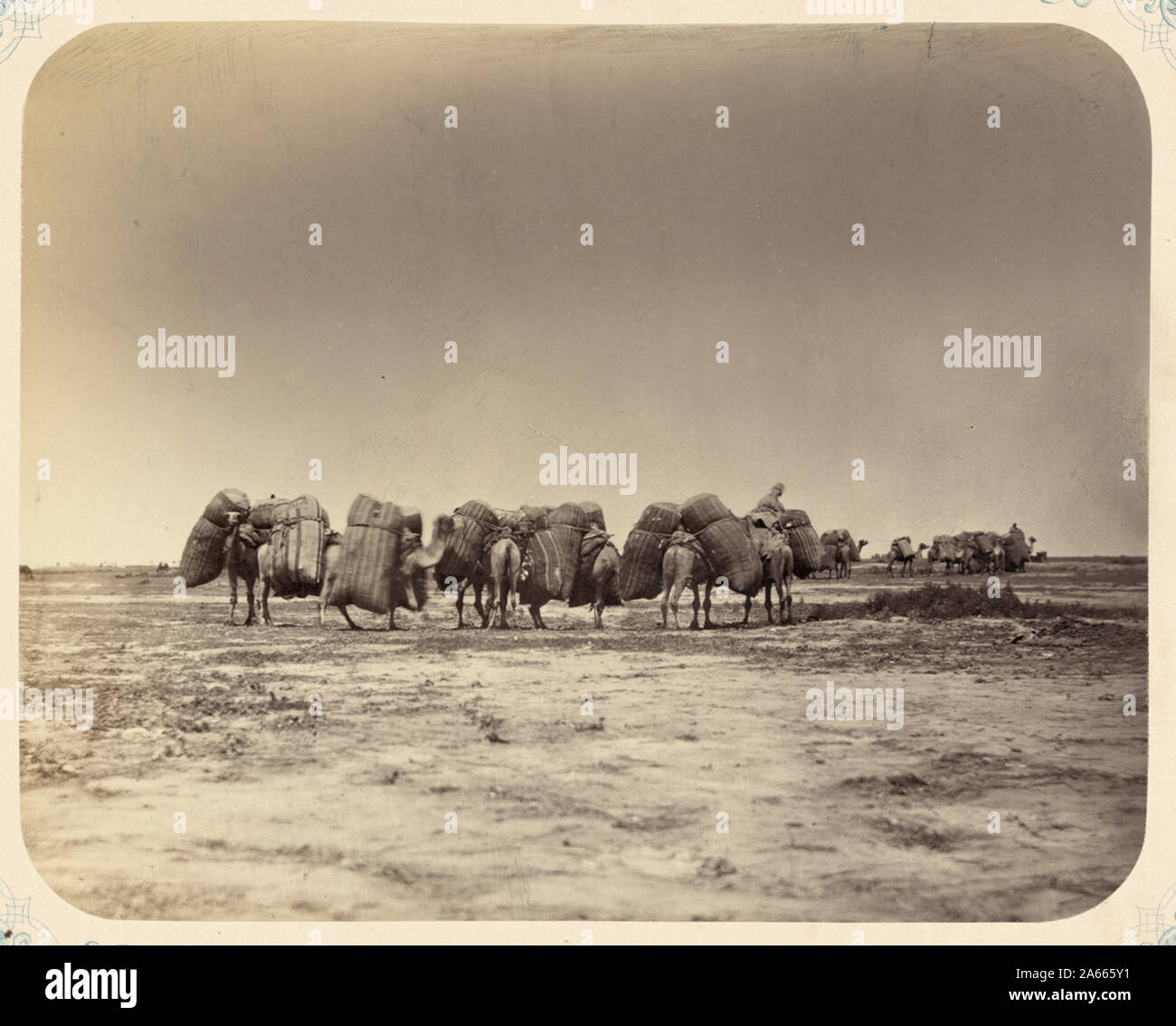 Syr darya oblast hi-res stock photography and images - Alamy