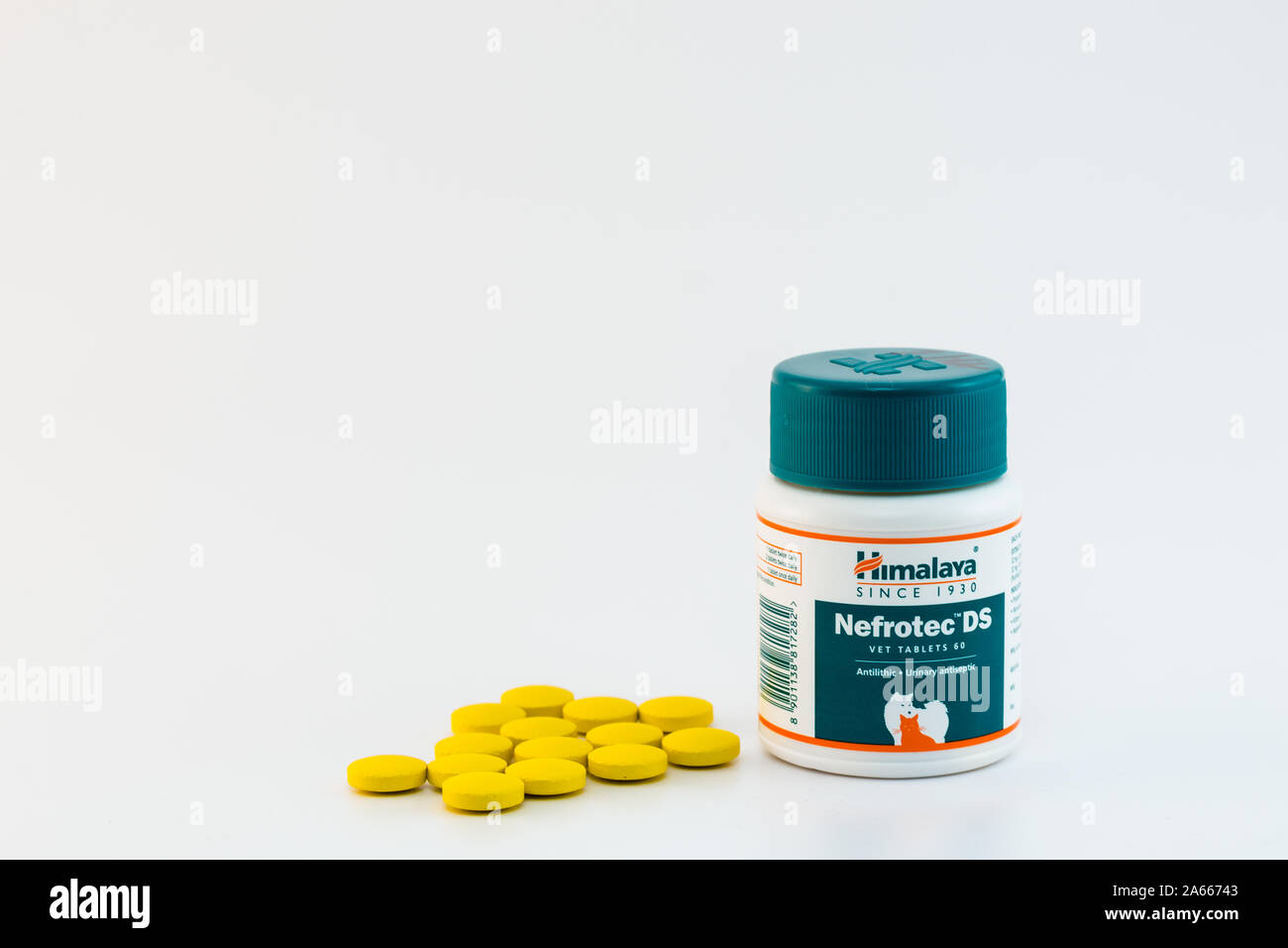 Cyperus scariosus hi-res stock photography and images - Alamy