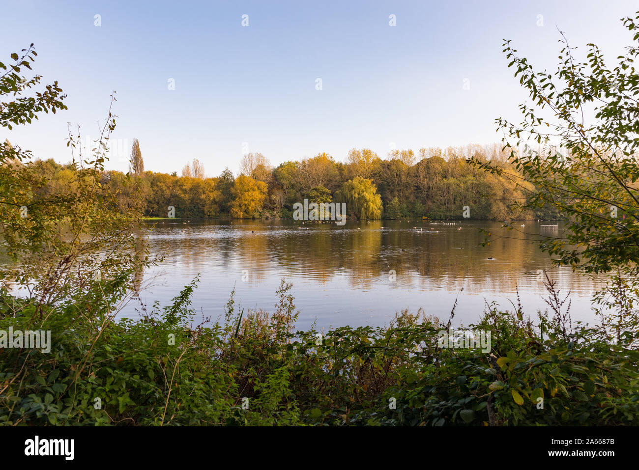 Perry park birmingham hi-res stock photography and images - Alamy