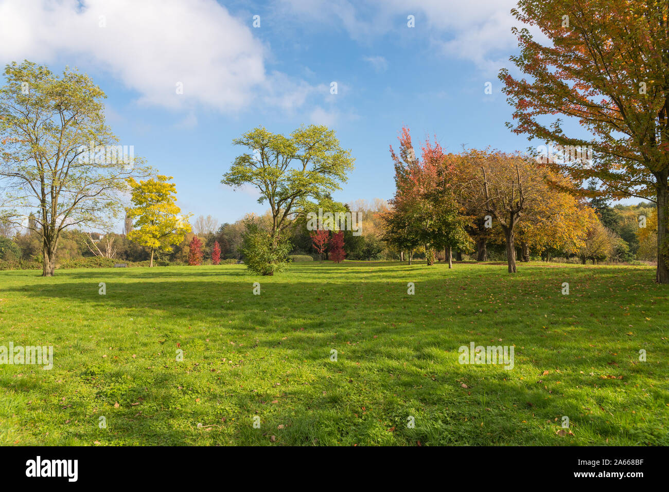 Perry park hi-res stock photography and images - Alamy