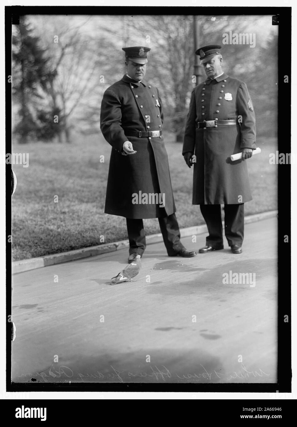 Birds feeding house Black and White Stock Photos & Images - Alamy