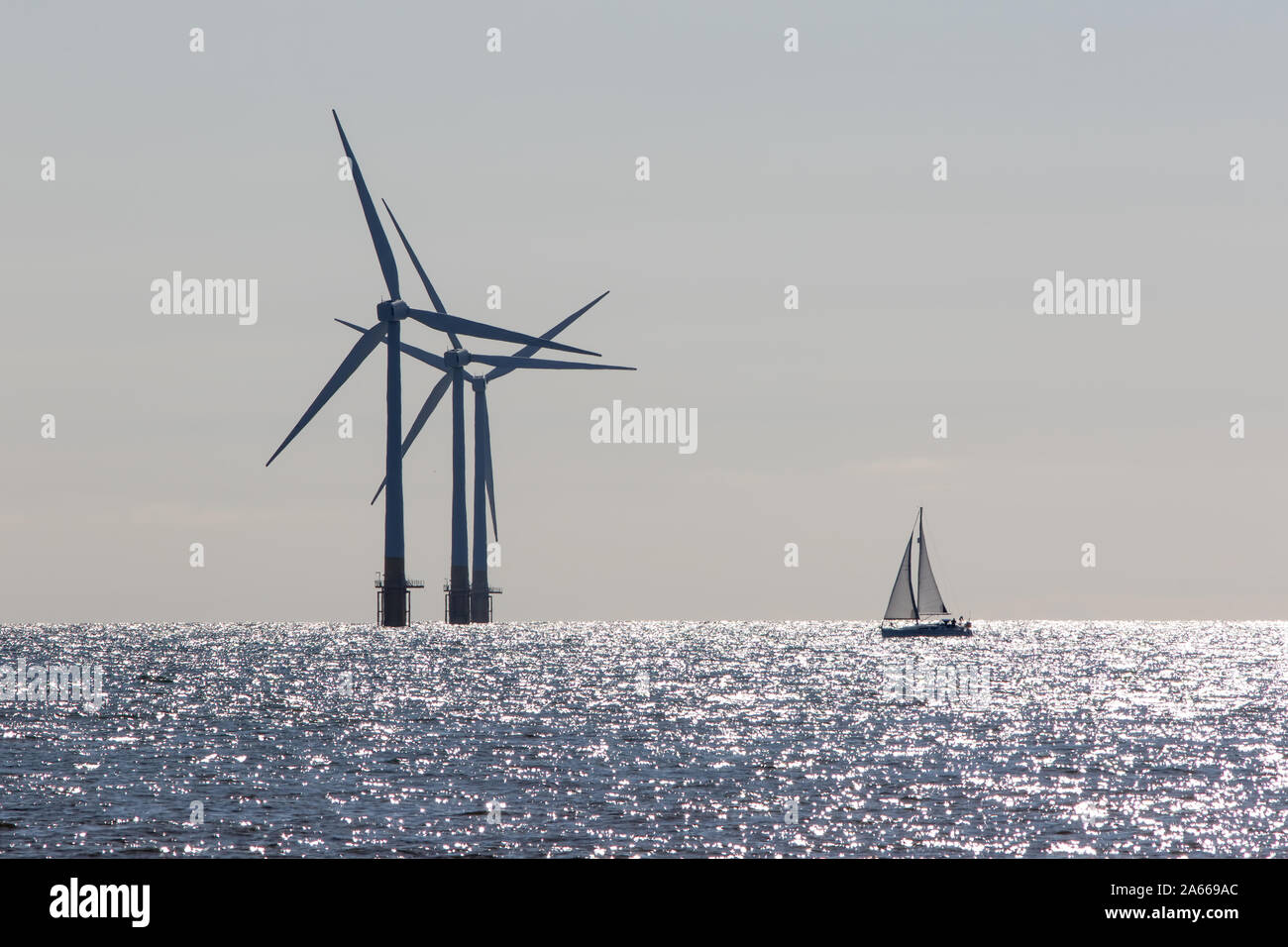 Wind power. Environmentally friendly sailing yacht. Offshore windfarm ...