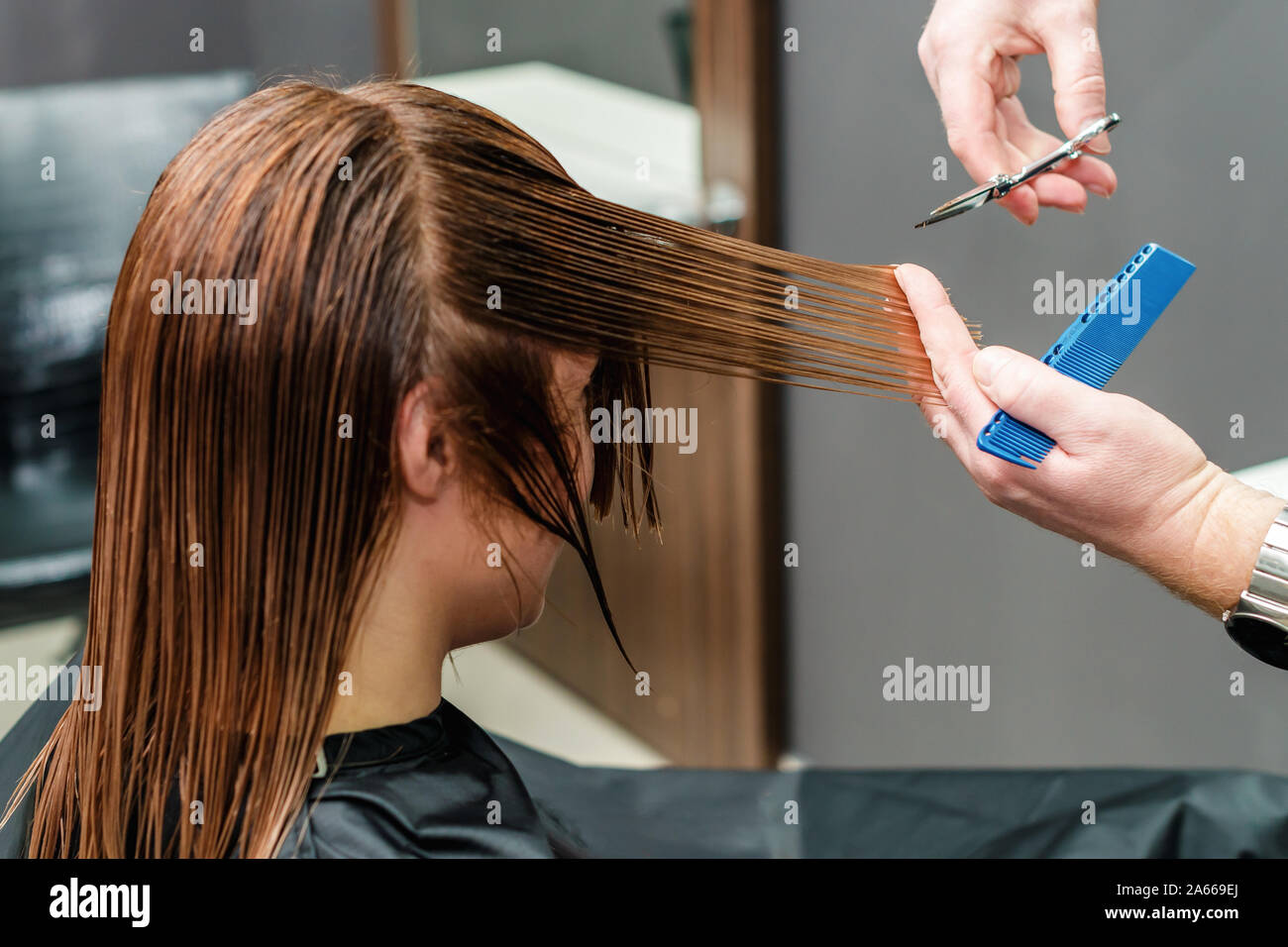Hands of professional hair stylist are cuting hair tips with scissors ...