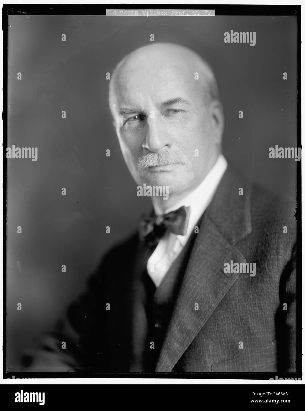 WILLCOX, W.F. PROFESSOR Stock Photo - Alamy