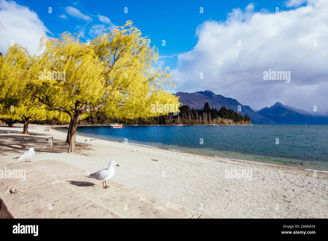 Lake Wakatipu and Queenstown Bay Beach Stock Photo - Alamy