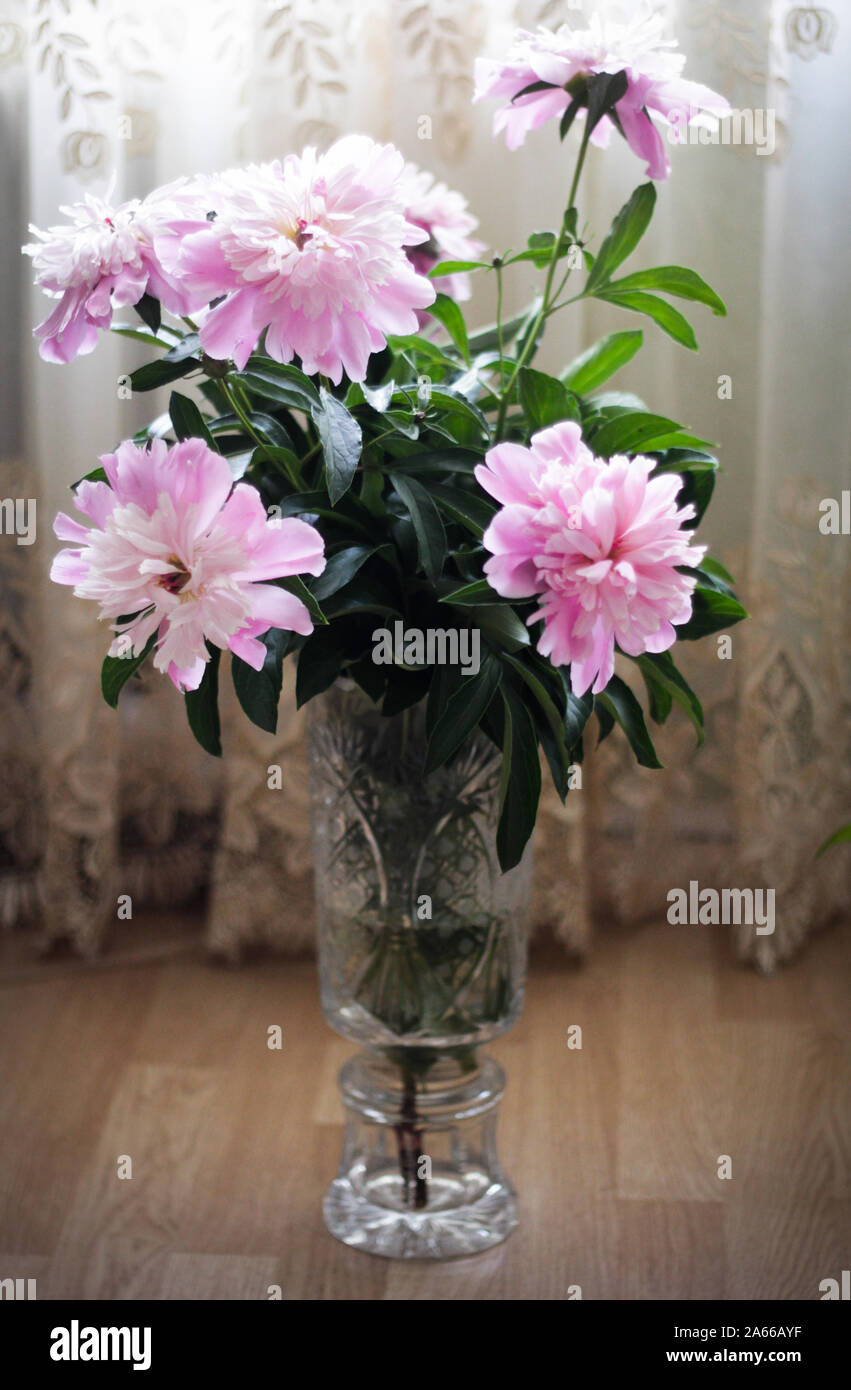 Rose vase on floor hi-res stock photography and images - Alamy