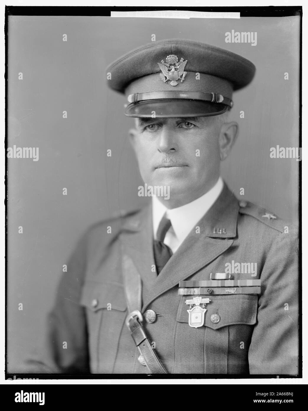 See a wolf hi-res stock photography and images - Alamy