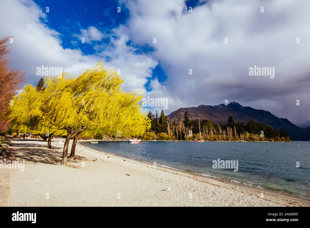 Queenstown bay beach hi-res stock photography and images - Alamy