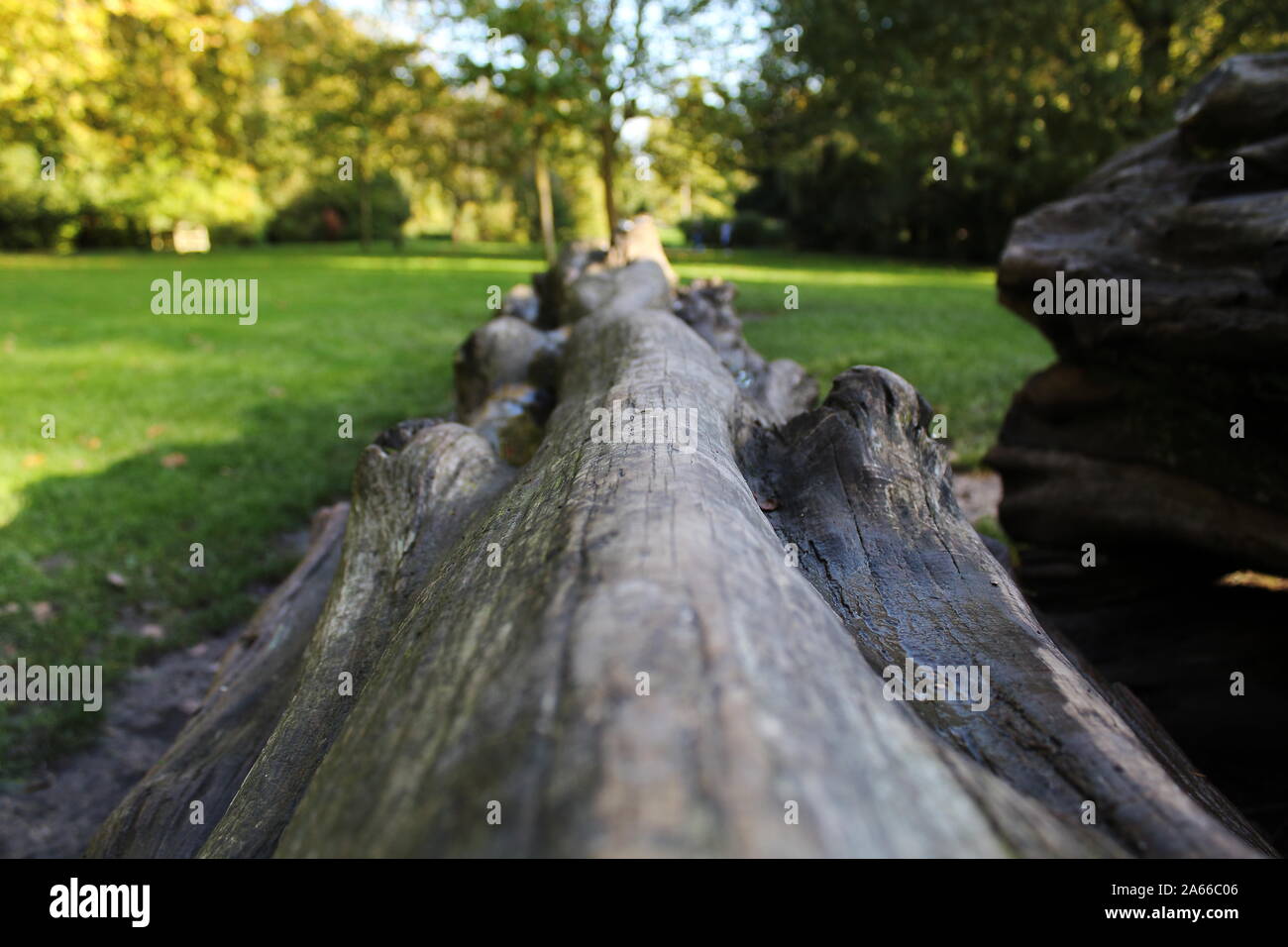 Fall leaves grass hi-res stock photography and images - Alamy