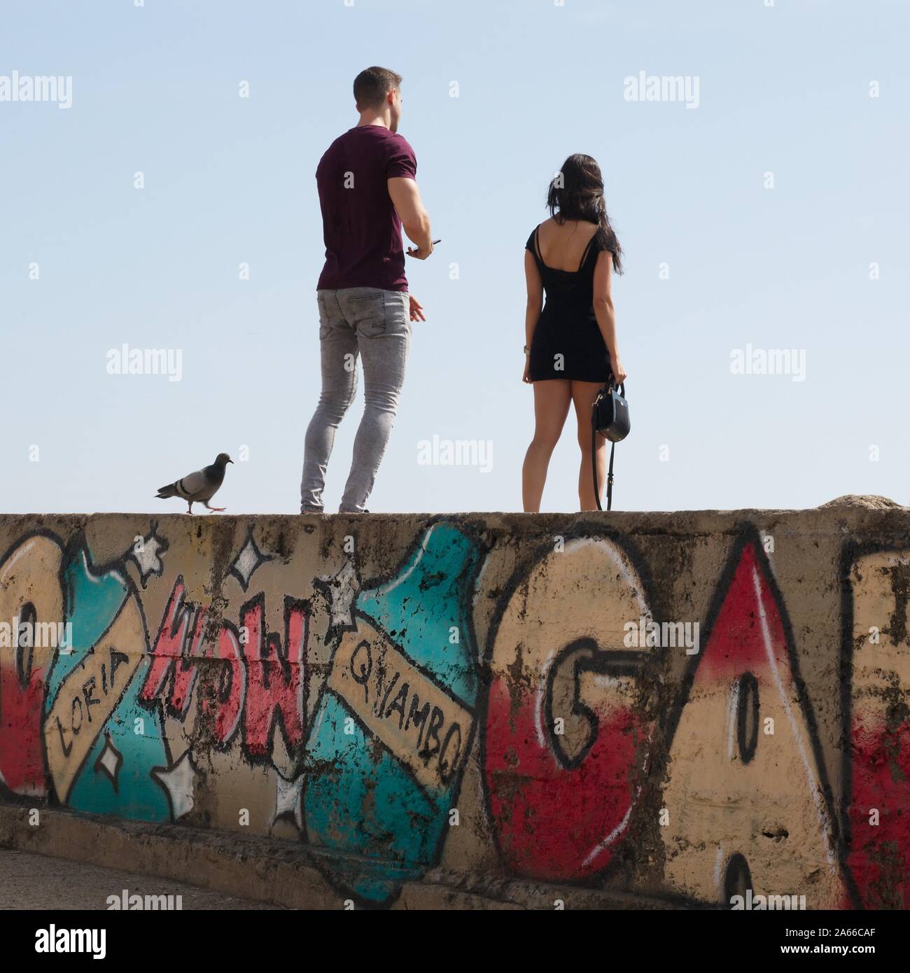 Pidgeon pose hi-res stock photography and images - Alamy