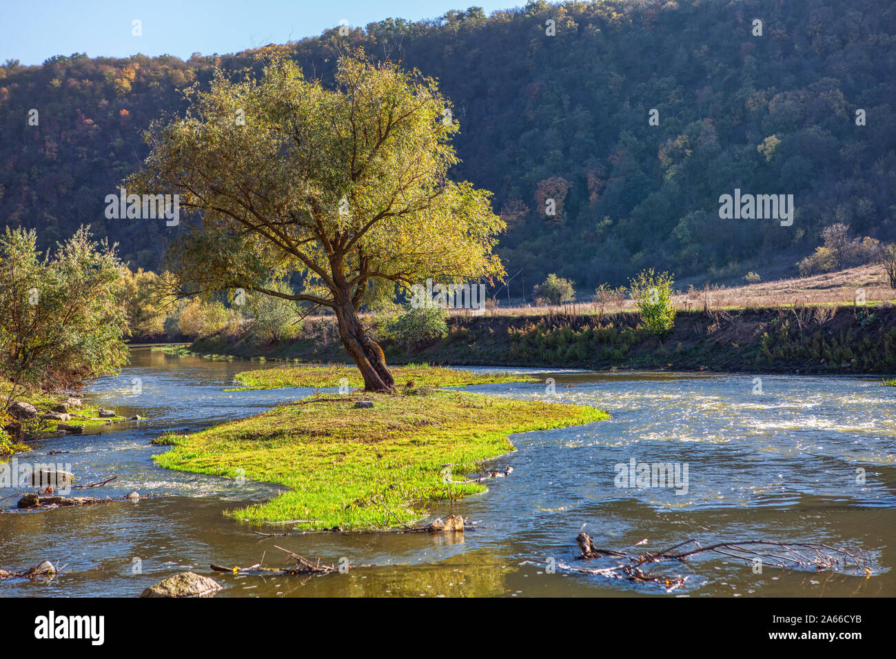 Islet foliage hi-res stock photography and images - Alamy
