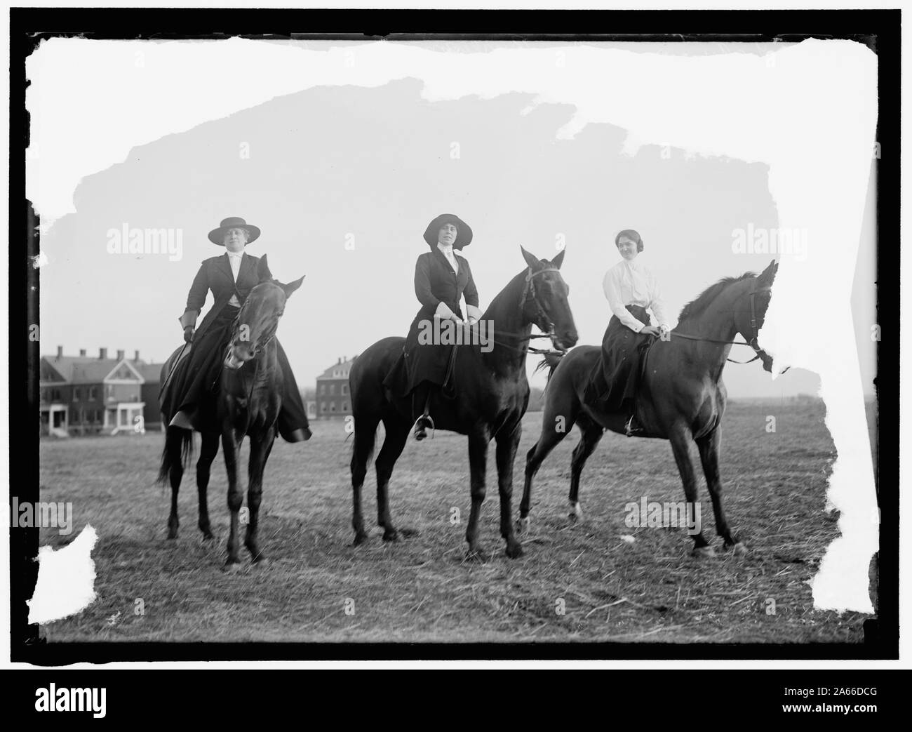 Parade marshalls hi-res stock photography and images - Alamy