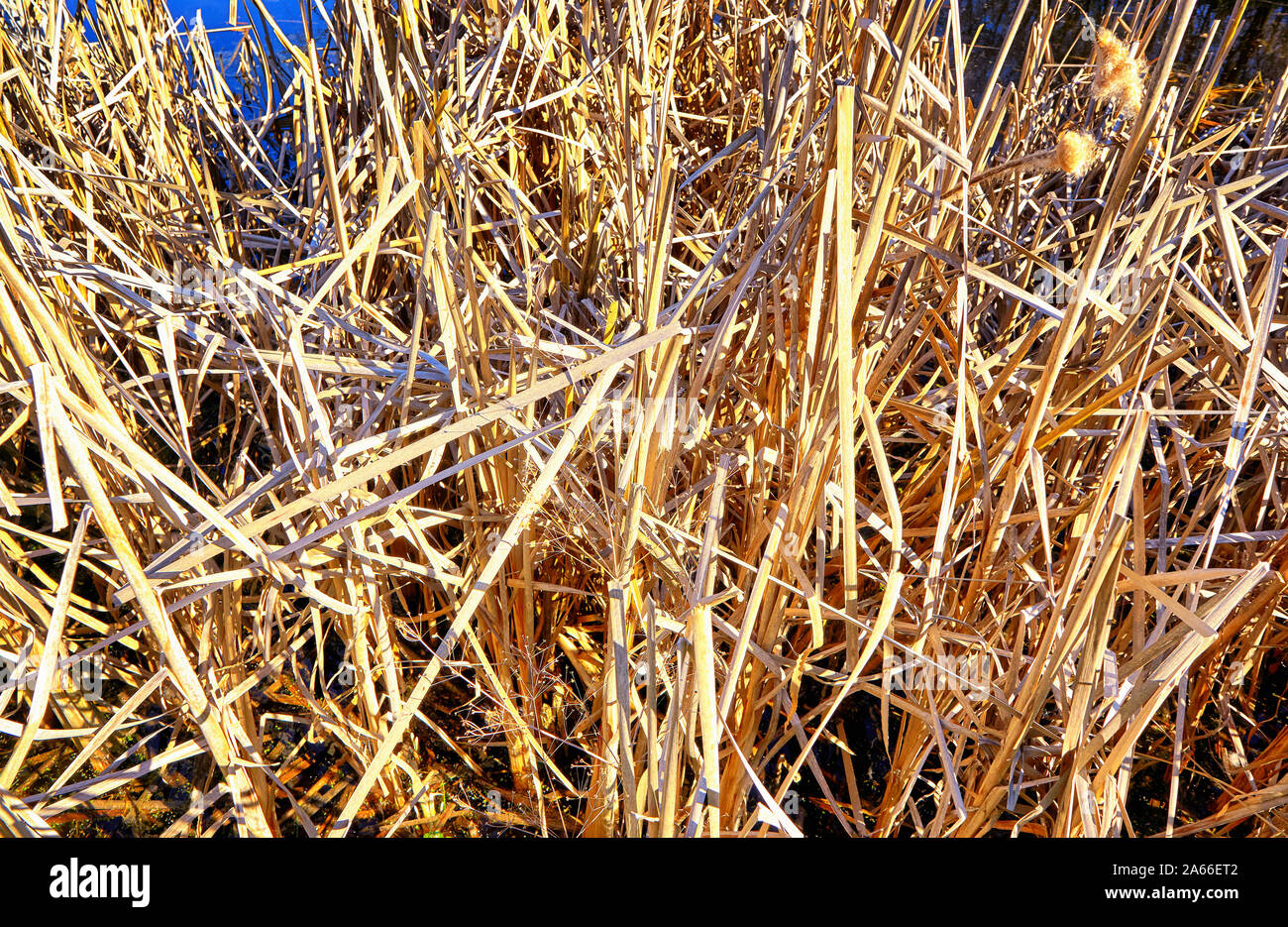 Cool wallpaper hi-res stock photography and images - Alamy