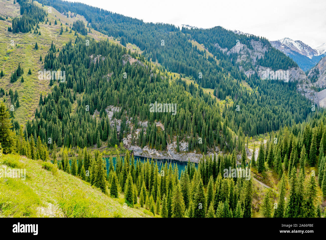 Sunken forest hi-res stock photography and images - Alamy