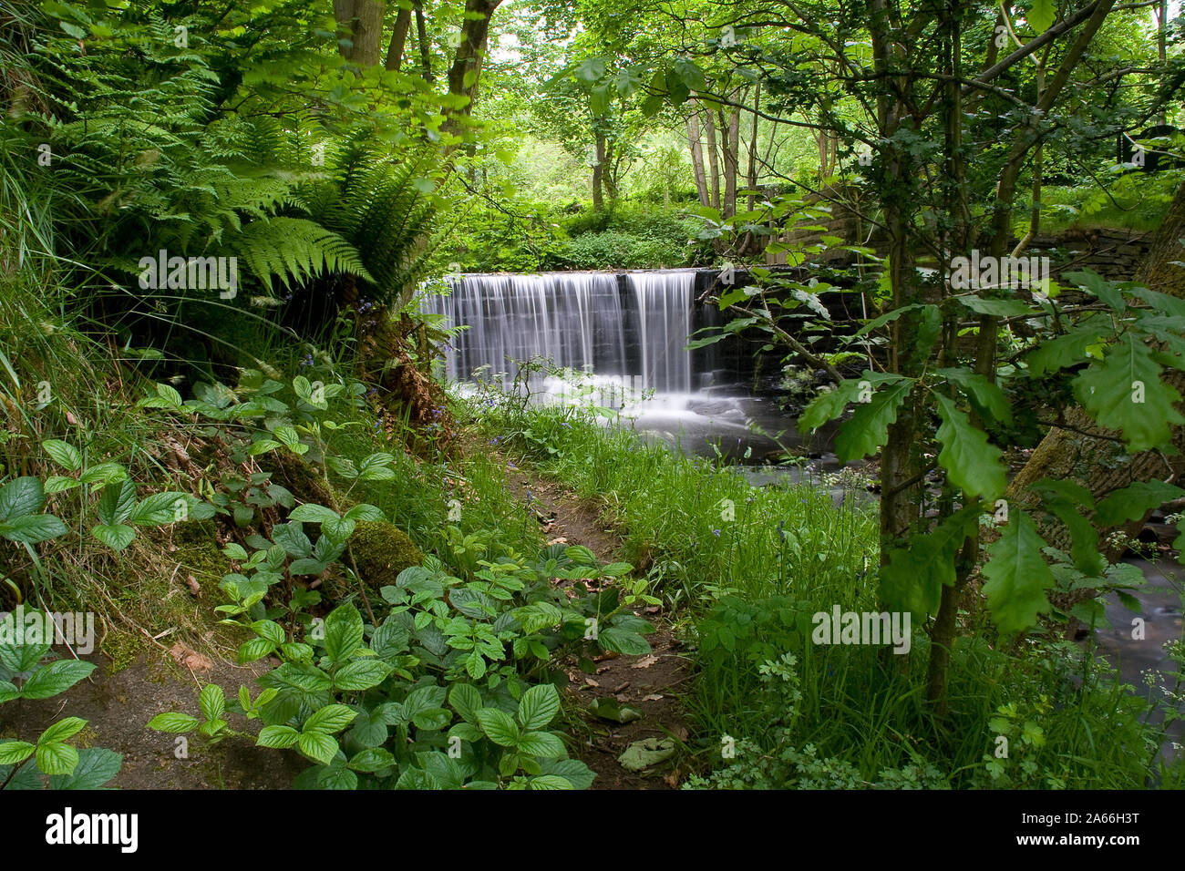 Waterfall in woodland, Magdale, Holmfirth Stock Photo - Alamy