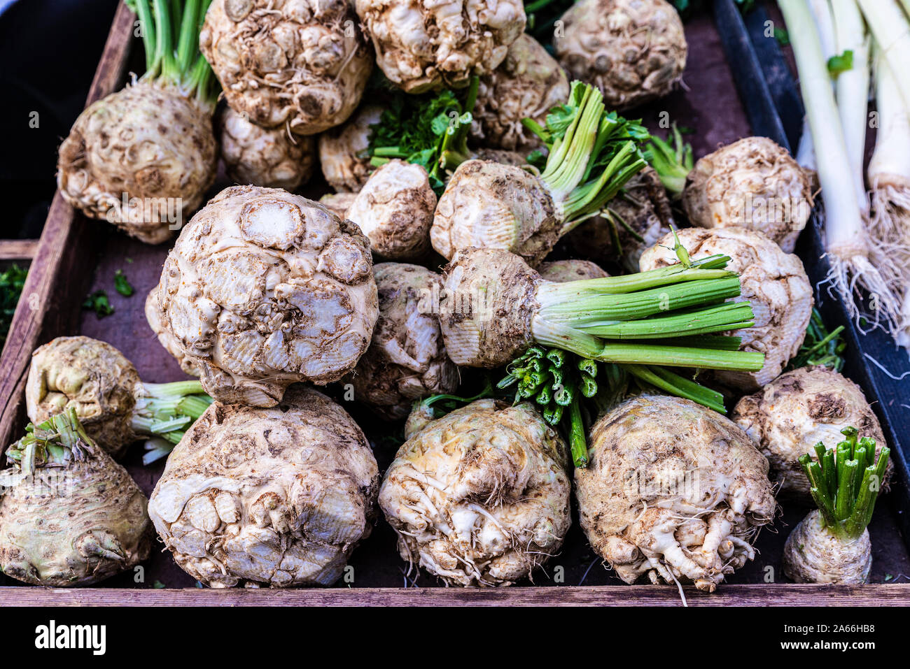 Celery texture hi-res stock photography and images - Alamy