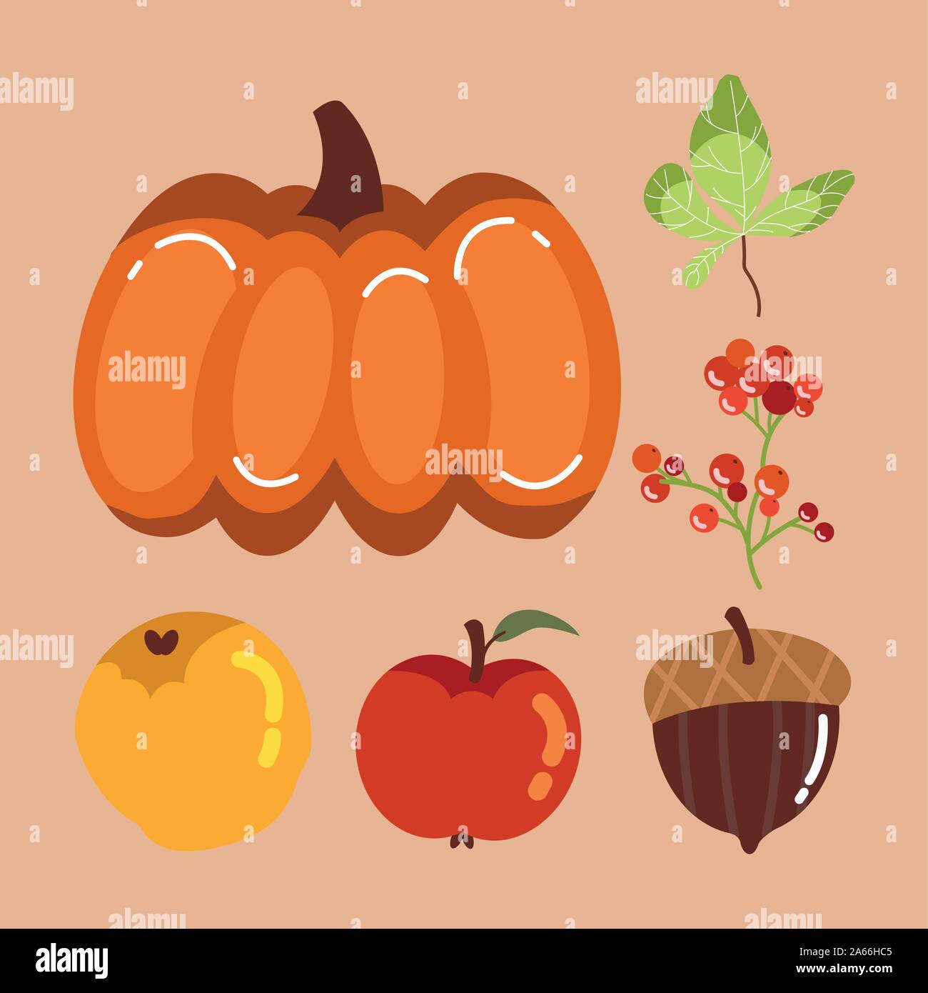 Collection autumn fruits leaves Stock Vector Images - Alamy