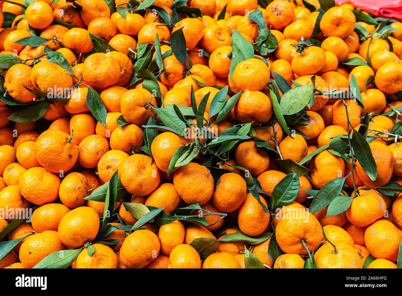 Mandarin orange stand in a farmer market on a street as background in ...