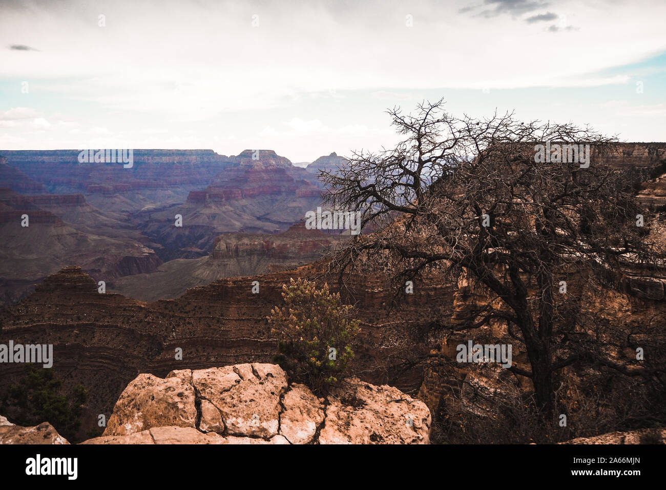 Grand Canyon National Park landscape Stock Photo - Alamy