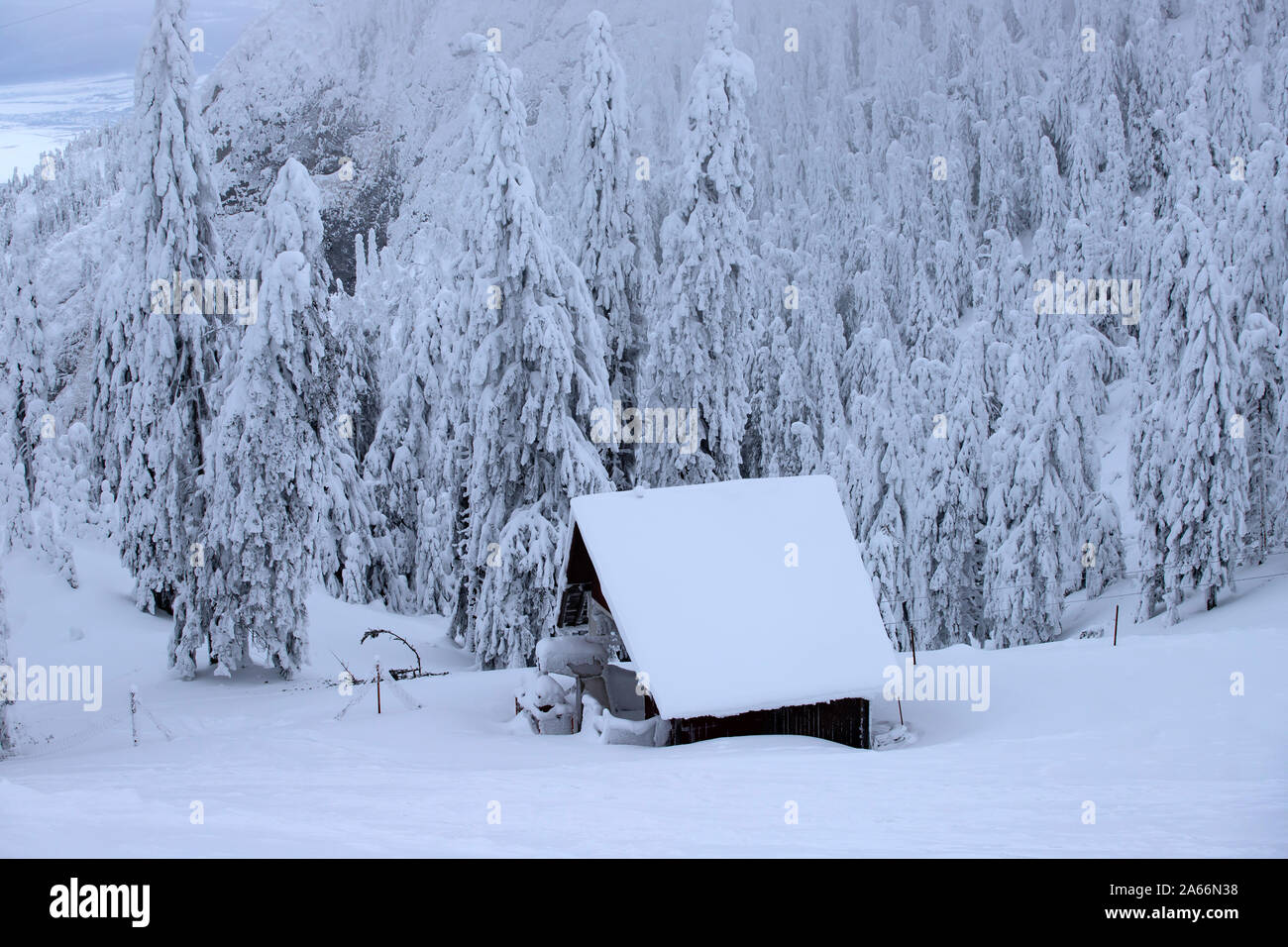 Small cozy christmas cottage hi-res stock photography and images - Alamy