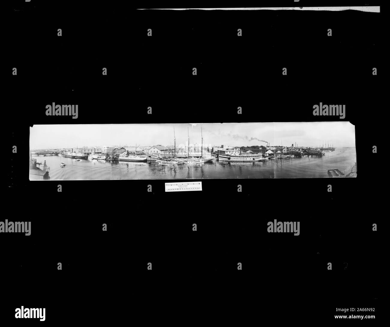 City of tampa Black and White Stock Photos & Images - Alamy