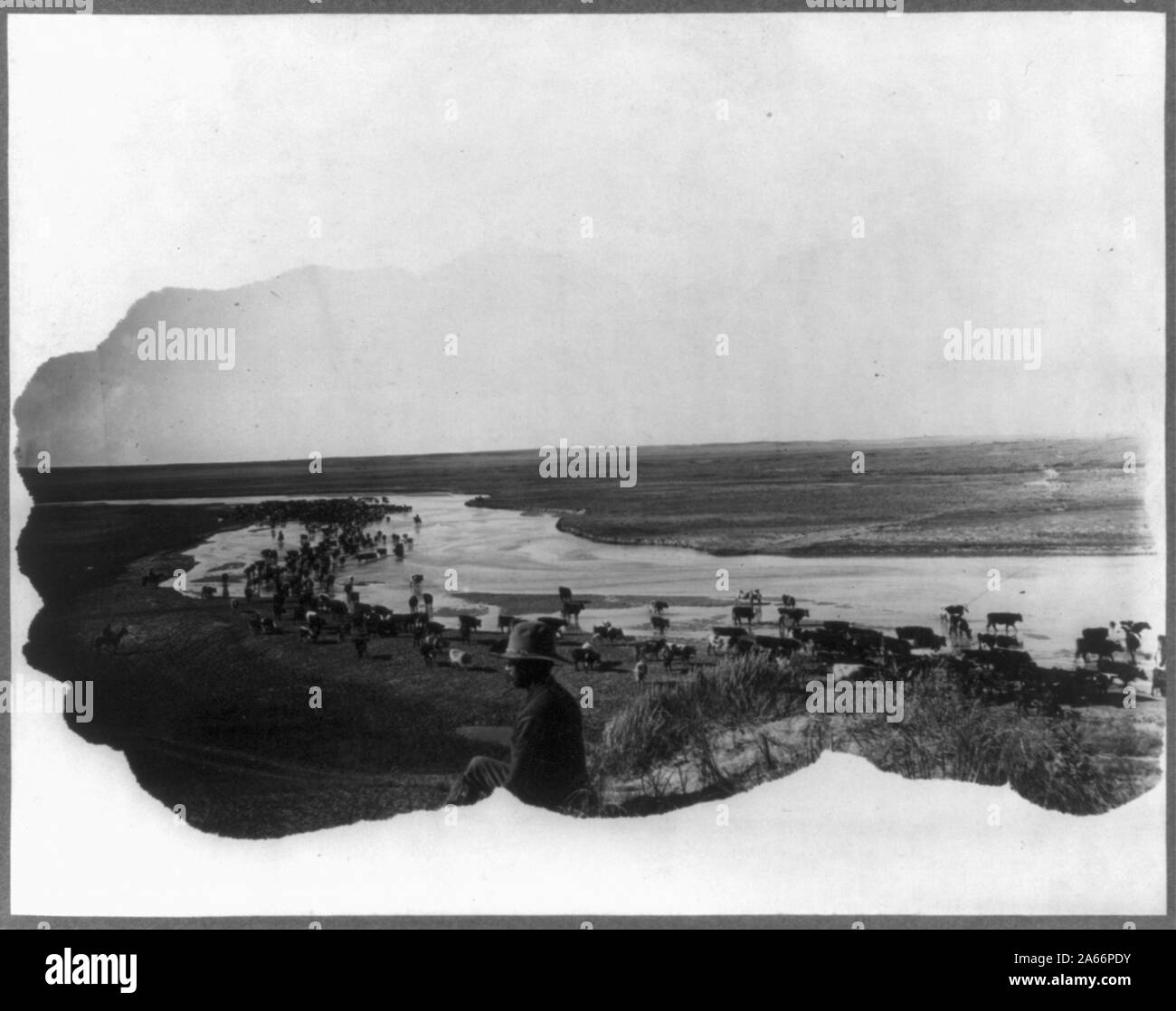 Roundup traditions Black and White Stock Photos & Images - Alamy