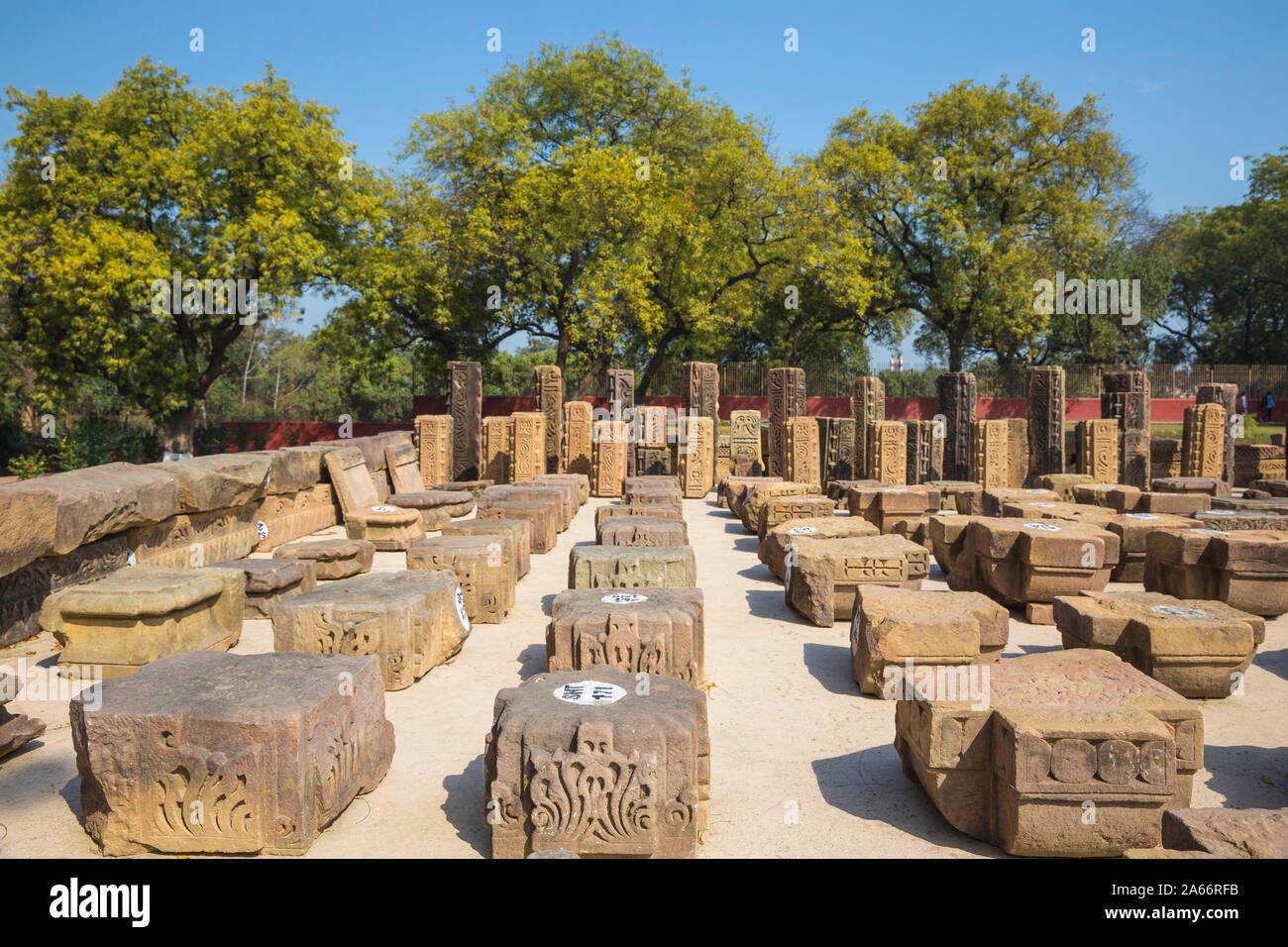India, Uttar Pradesh, Sarnarth, near Varanasi, Dhamekh Stupa and ruins ...