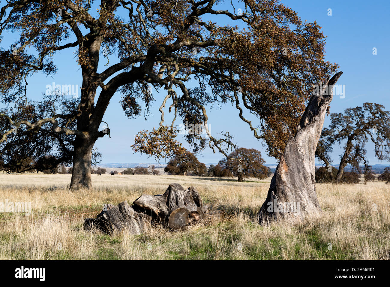 Worn highway hi-res stock photography and images - Alamy