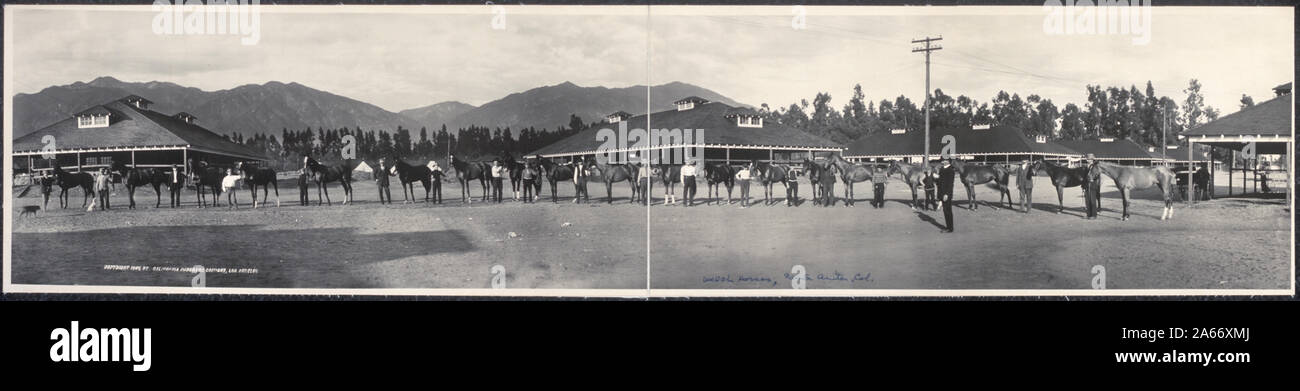 Welch horses, Santa Anita Race Track Stock Photo - Alamy