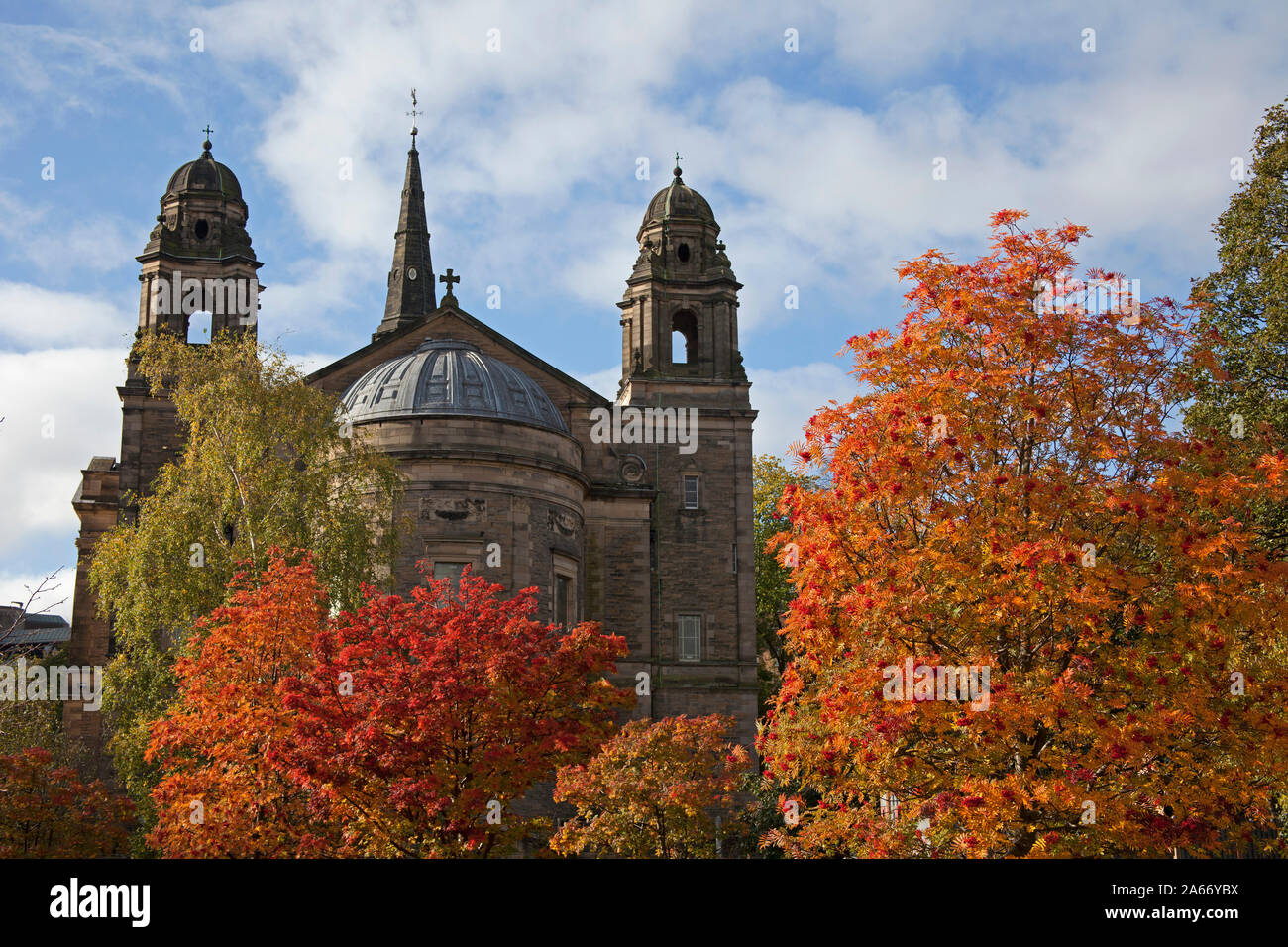 Scottish trees hi-res stock photography and images - Alamy