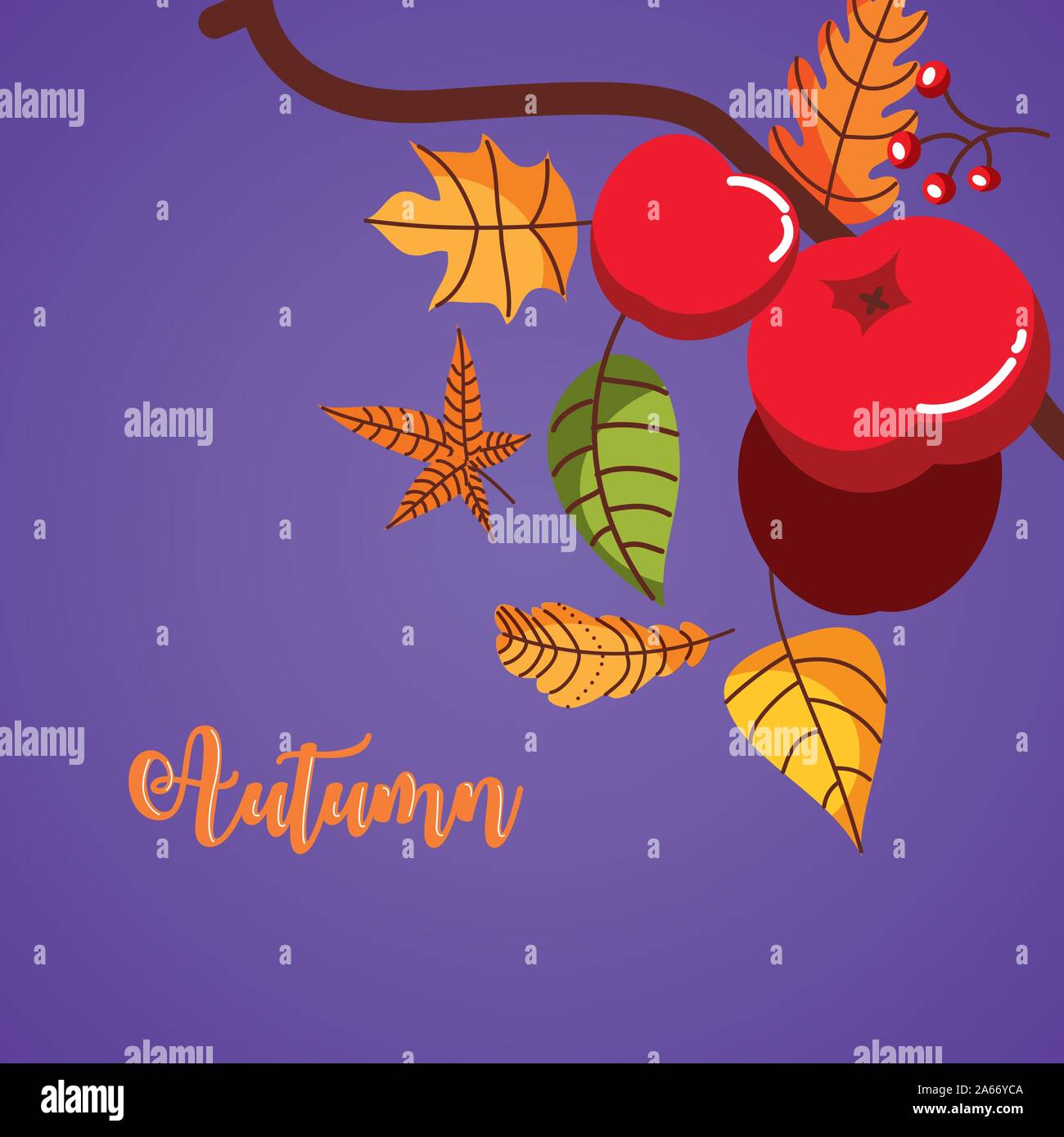 Autumn leafs fruits frame hi-res stock photography and images - Alamy