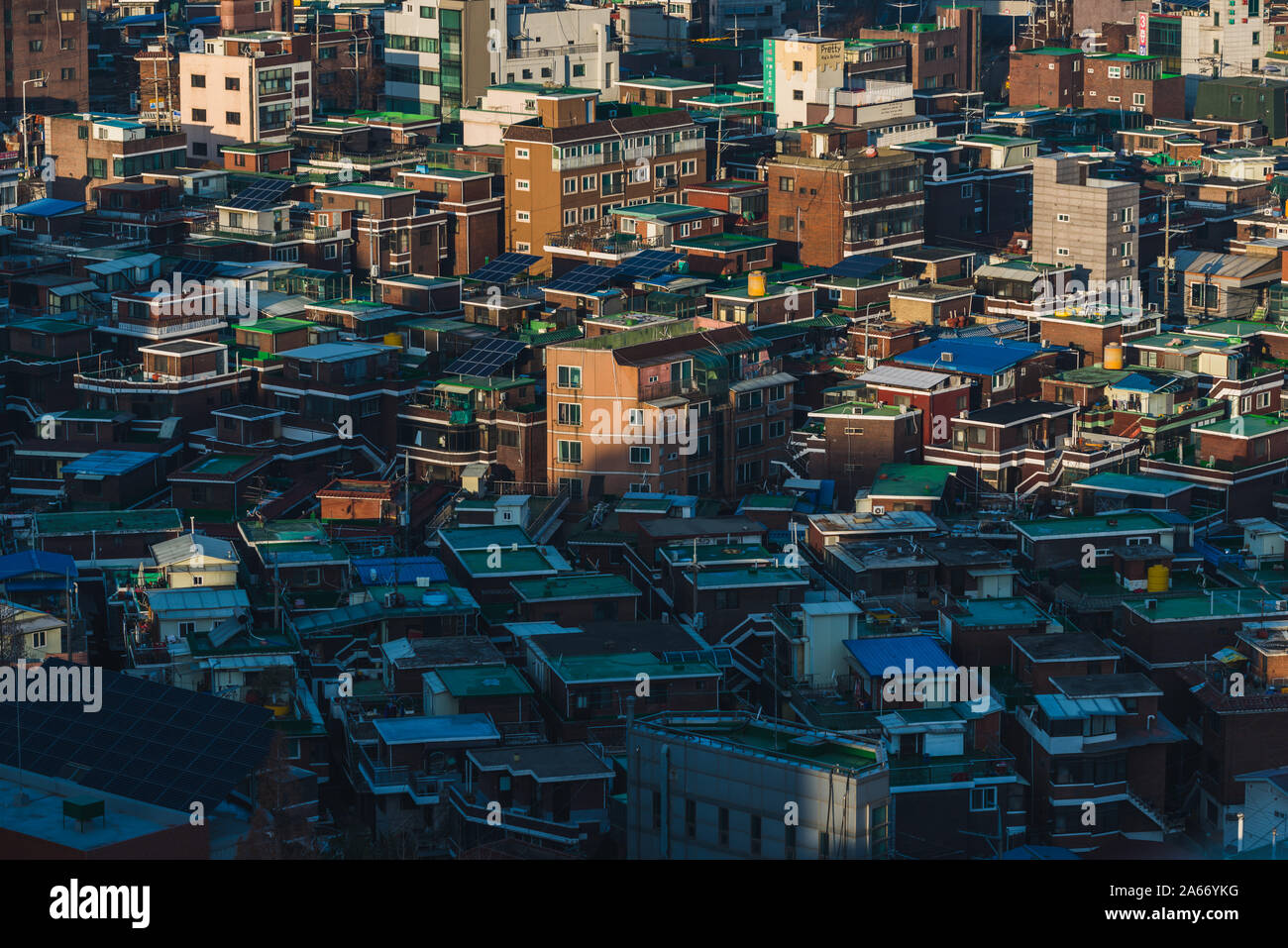 Crowded City Buildings