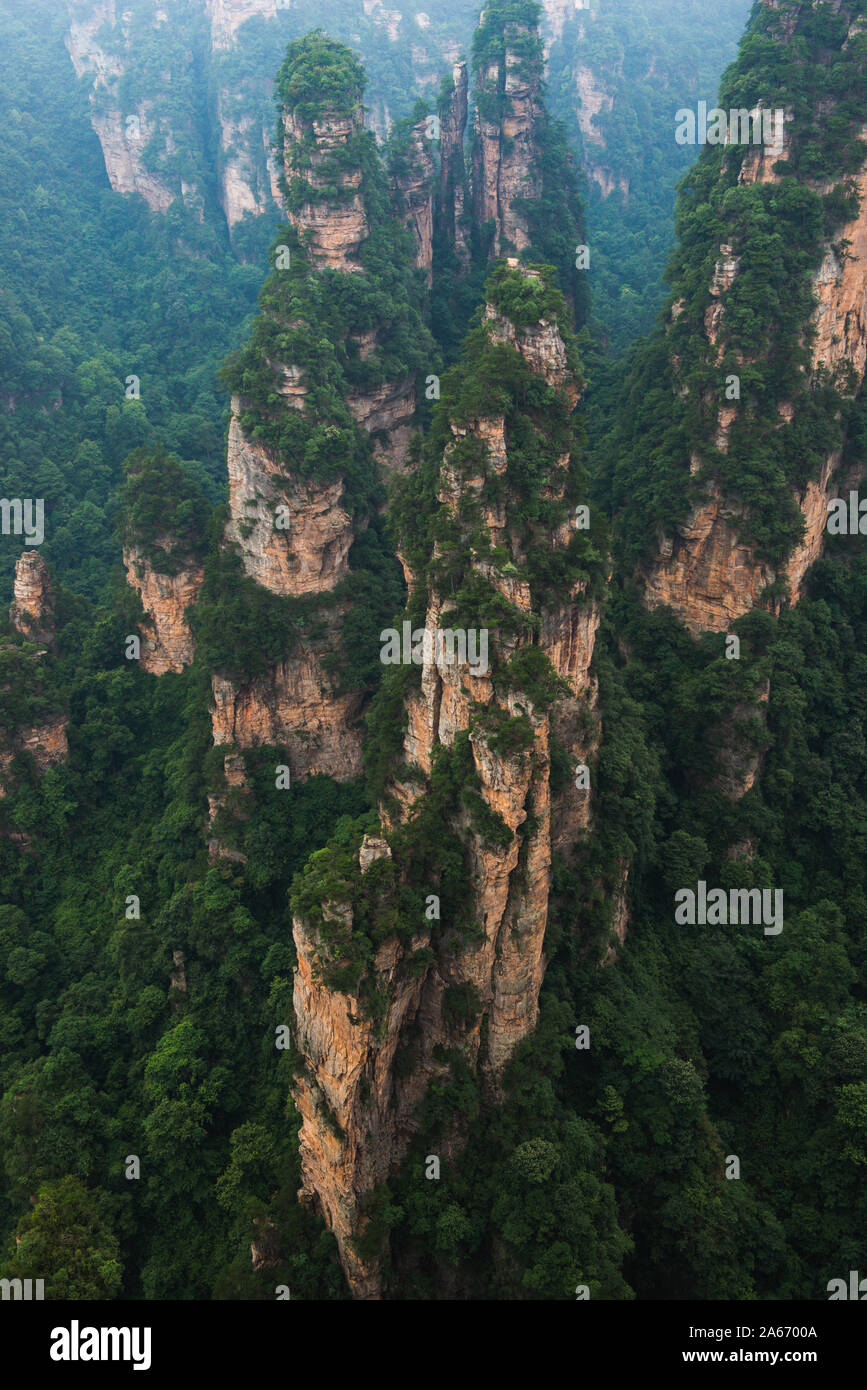 Natural sandstone formations in Zhangjiajie National Forest Park in ...