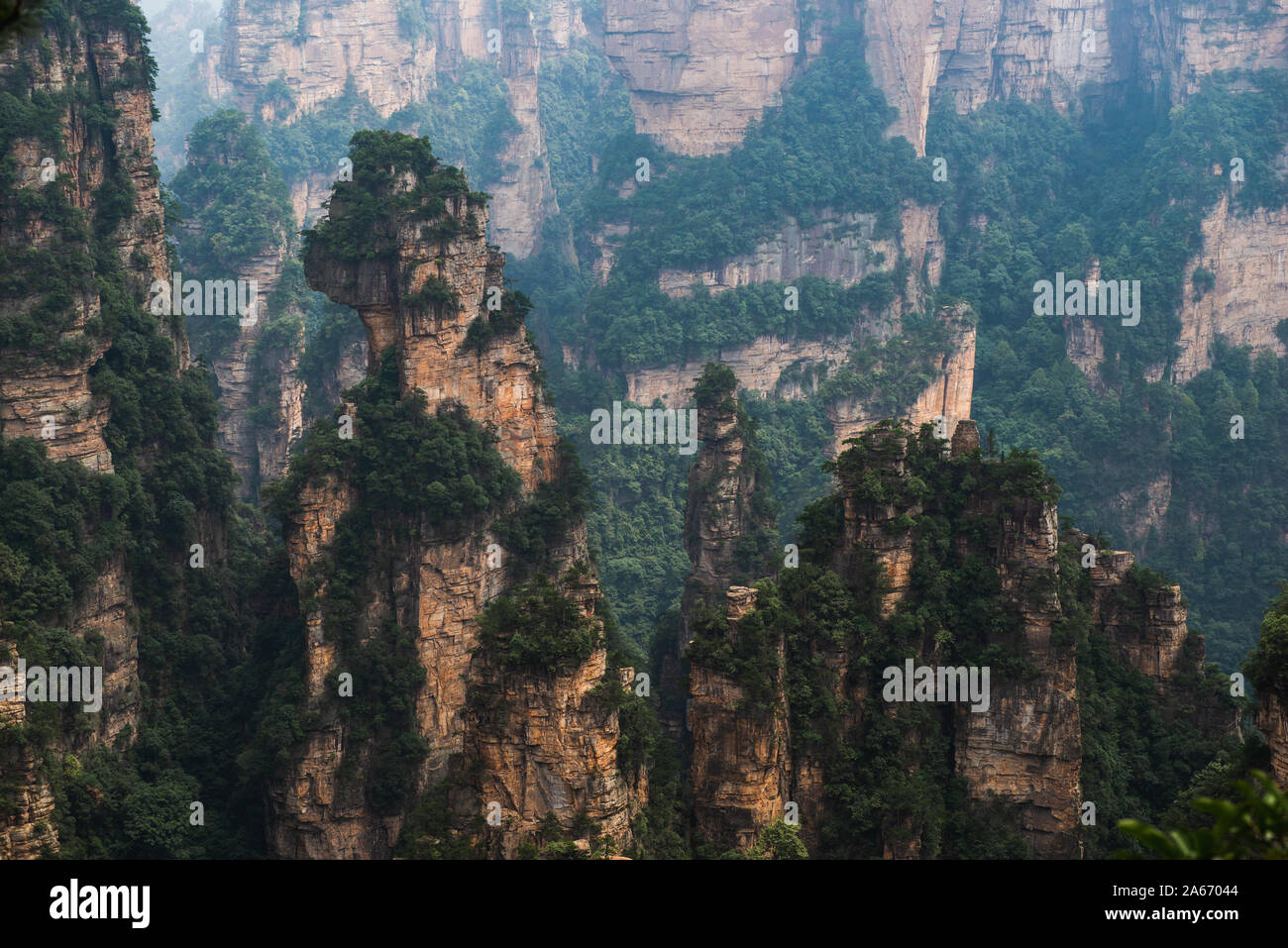 Natural sandstone formations in Zhangjiajie National Forest Park in ...