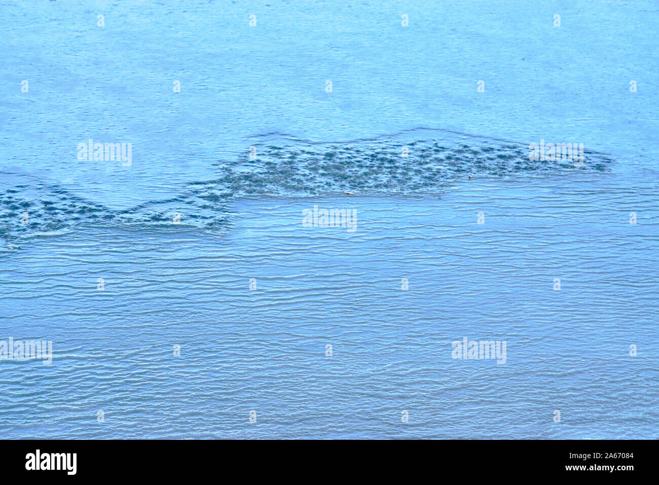 Shapes of winter, the first ice on Reykjavik pond in late October Stock ...