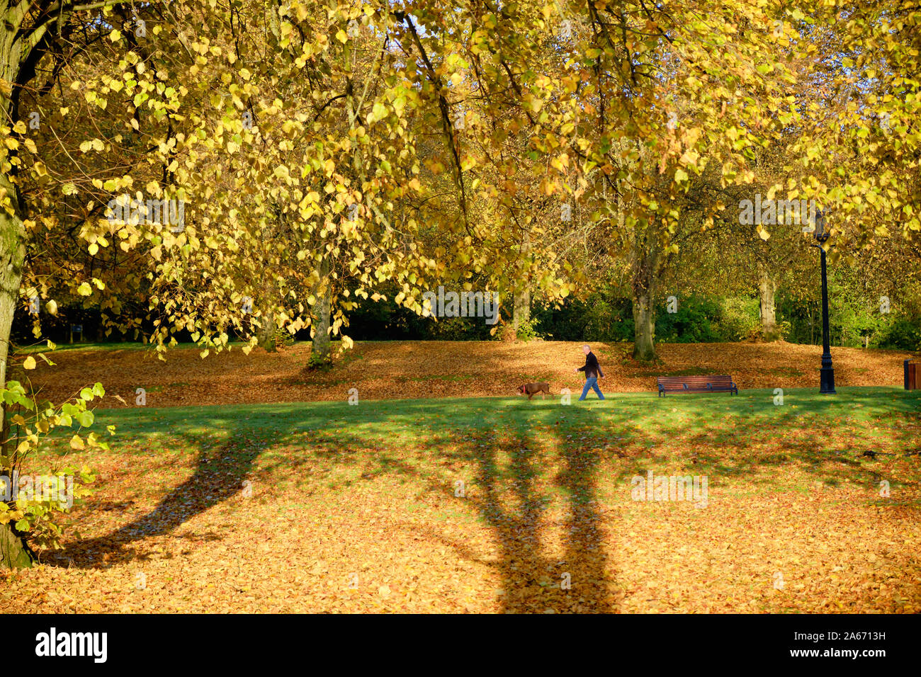 Autumn scene in Stormont Estate, Belfast Stock Photo - Alamy